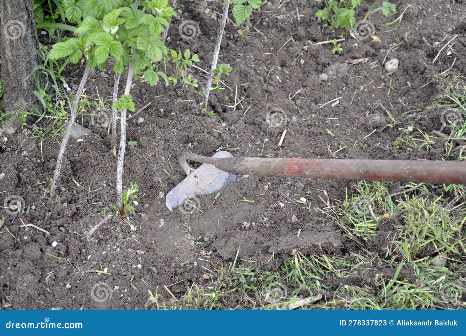 The Farmer Works with a Hoe on the Farm Stock Image - Image of ...