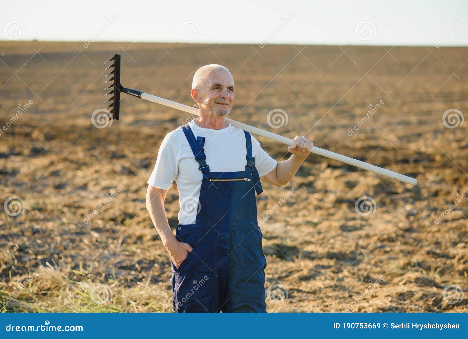 A farmer works with a rake stock image. Image of lifestyle - 190753669