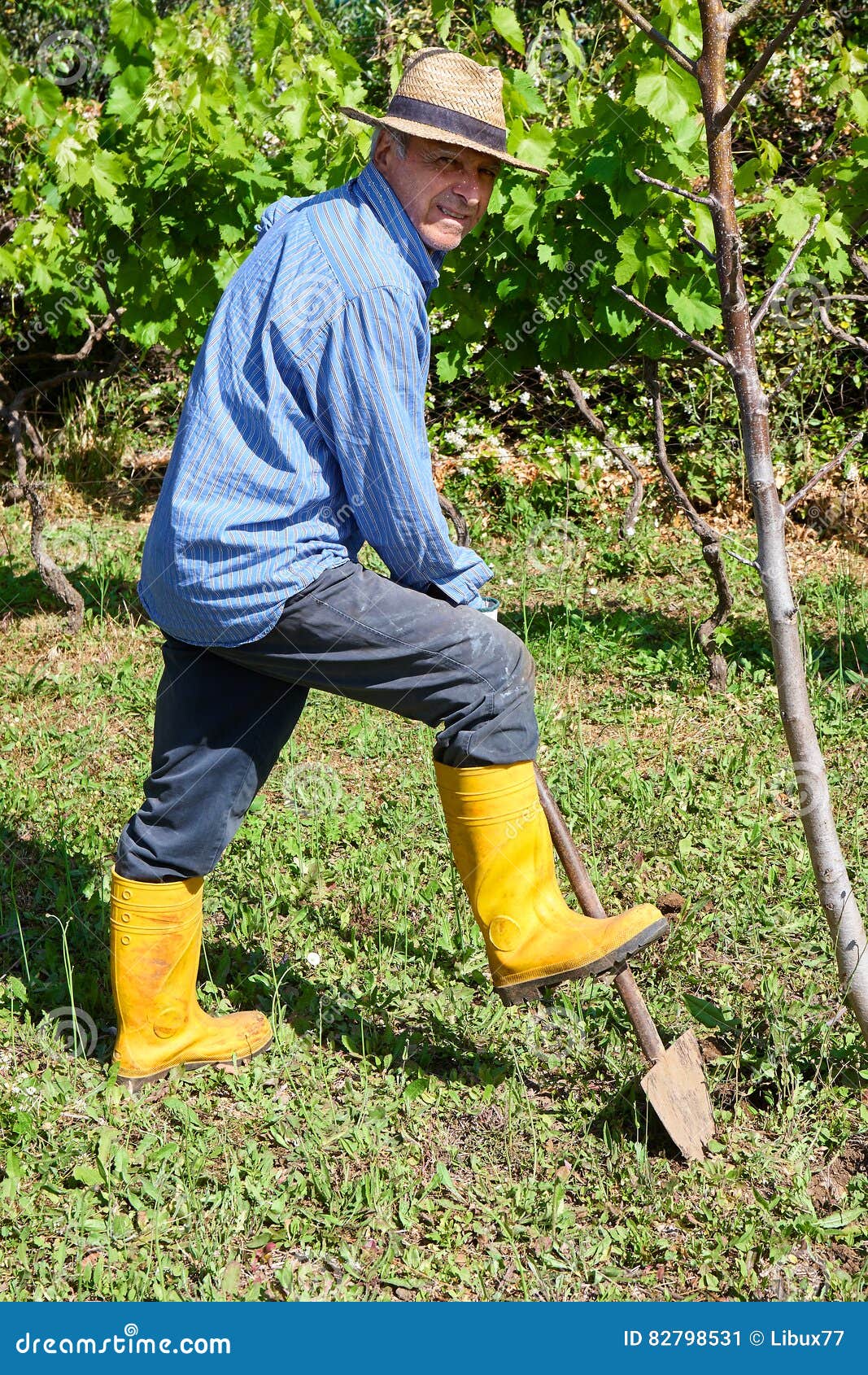Farmer Yellow Boots Working Spade Field Stock Image - Image of spade ...