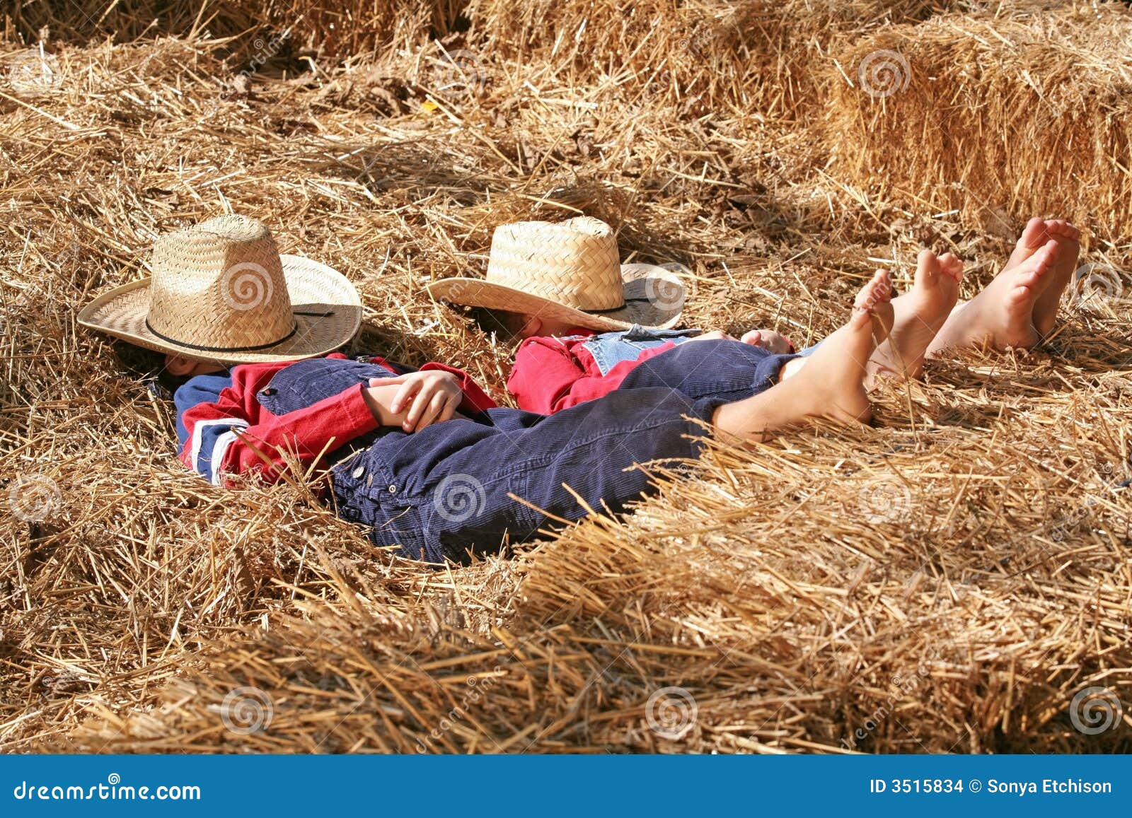 Farmers Asleep in the Hay stock photo. Image of cheerful - 3515834