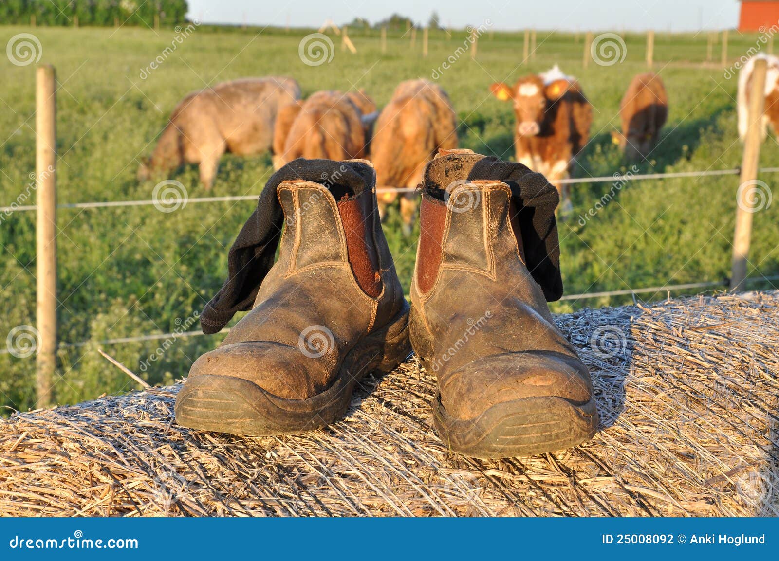 701 Break Farmers Stock Photos - Free & Royalty-Free Stock Photos from ...