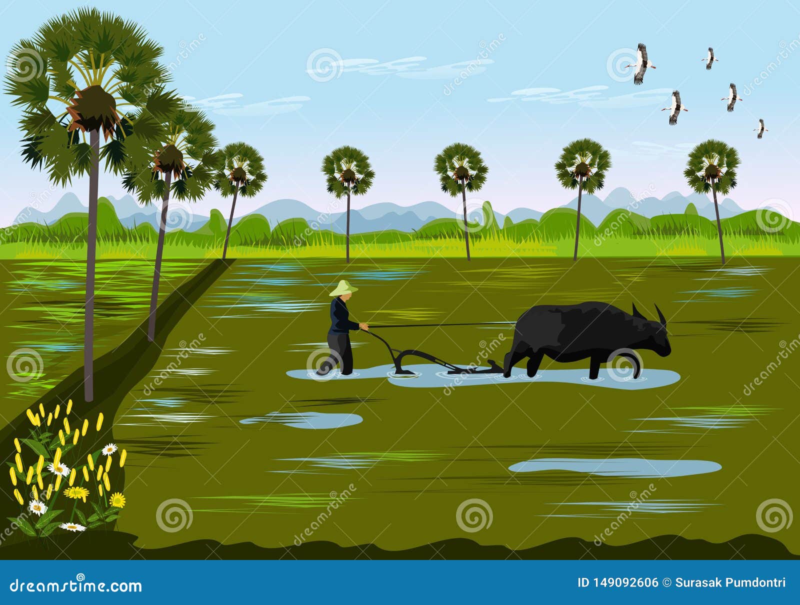 Farmers are Digging the Soil Using Buffalo in Rice Fields. with Palm ...