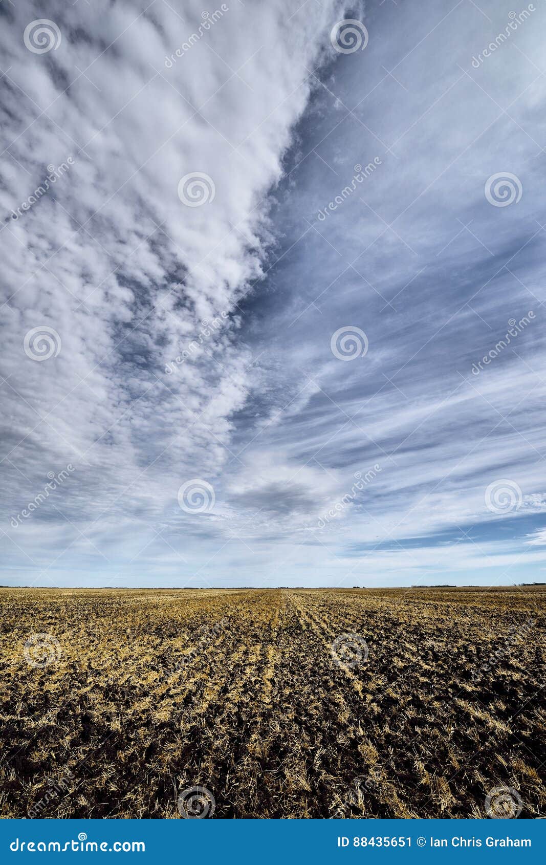 Farmers Field stock image. Image of fall, autumn, saskatchewan - 88435651