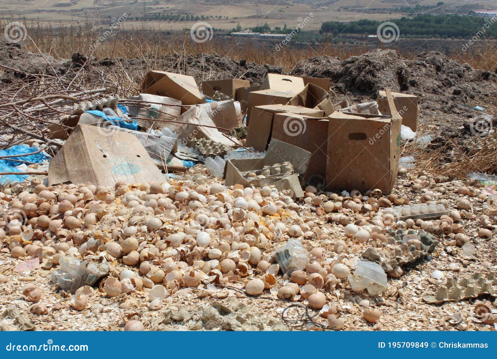 Rotten Chicken Stock Photography | CartoonDealer.com #37060820