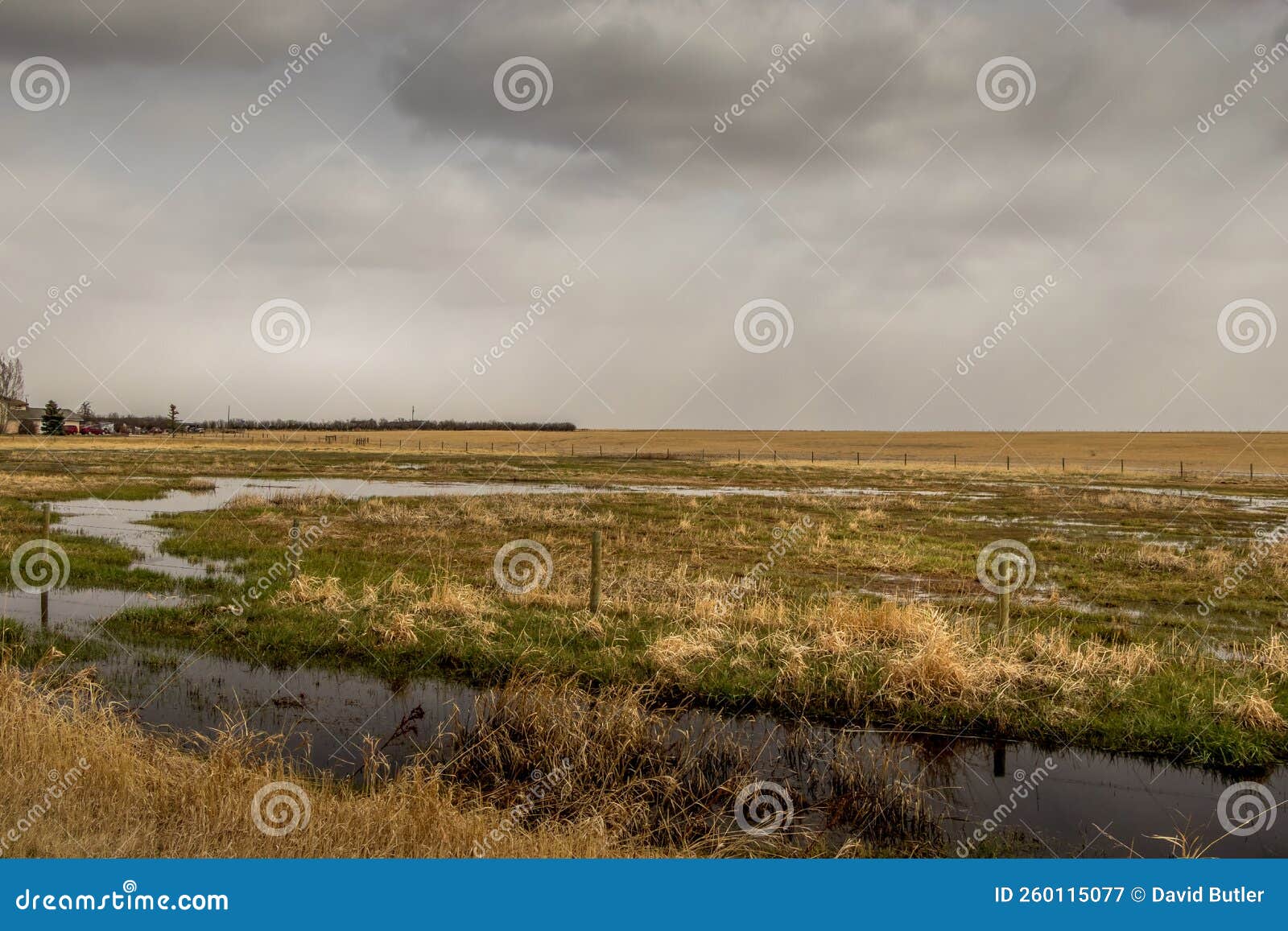 Farmers Field Under Water Ensign Alberta Canada Stock Image - Image of ...