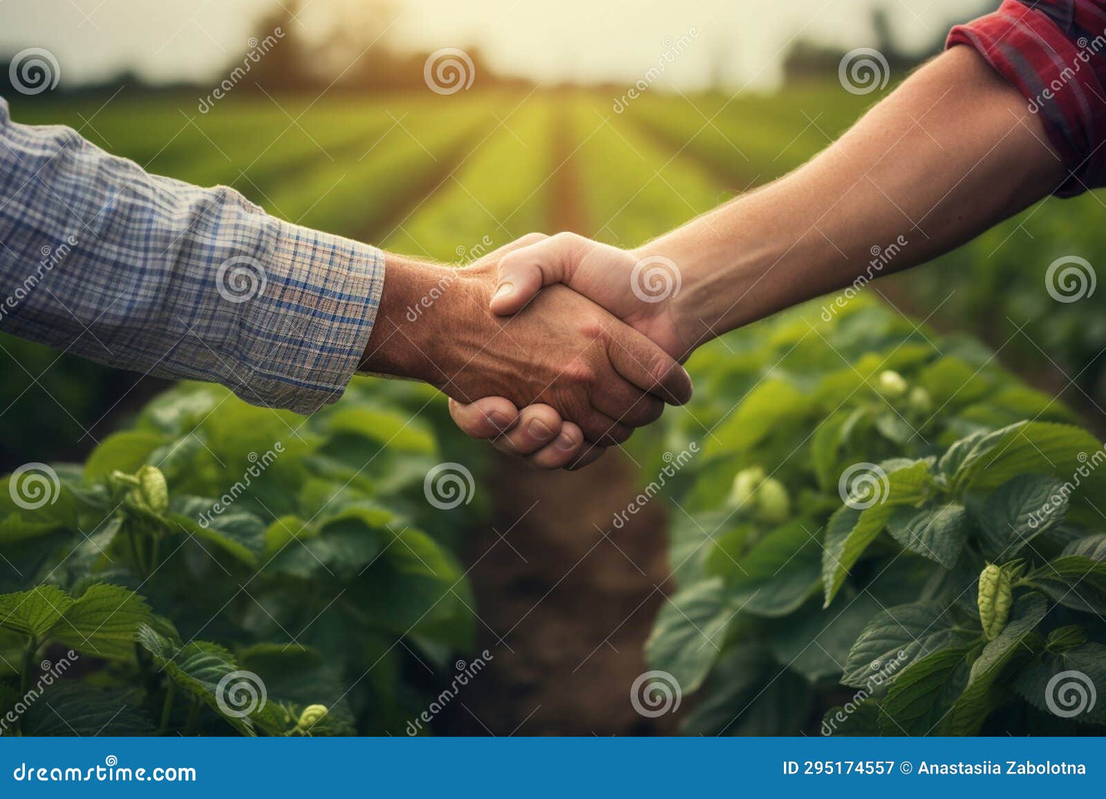 Farmers Handshake in Agriculture Stock Illustration - Illustration of ...