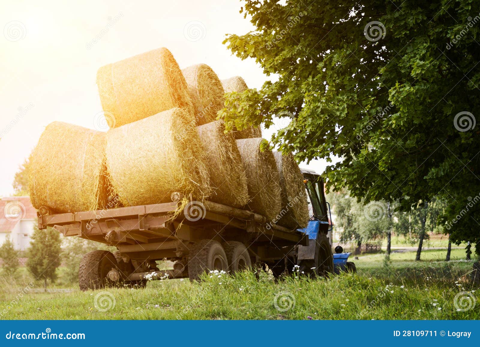 Farmers harvesting hay stock image. Image of landscape - 28109711