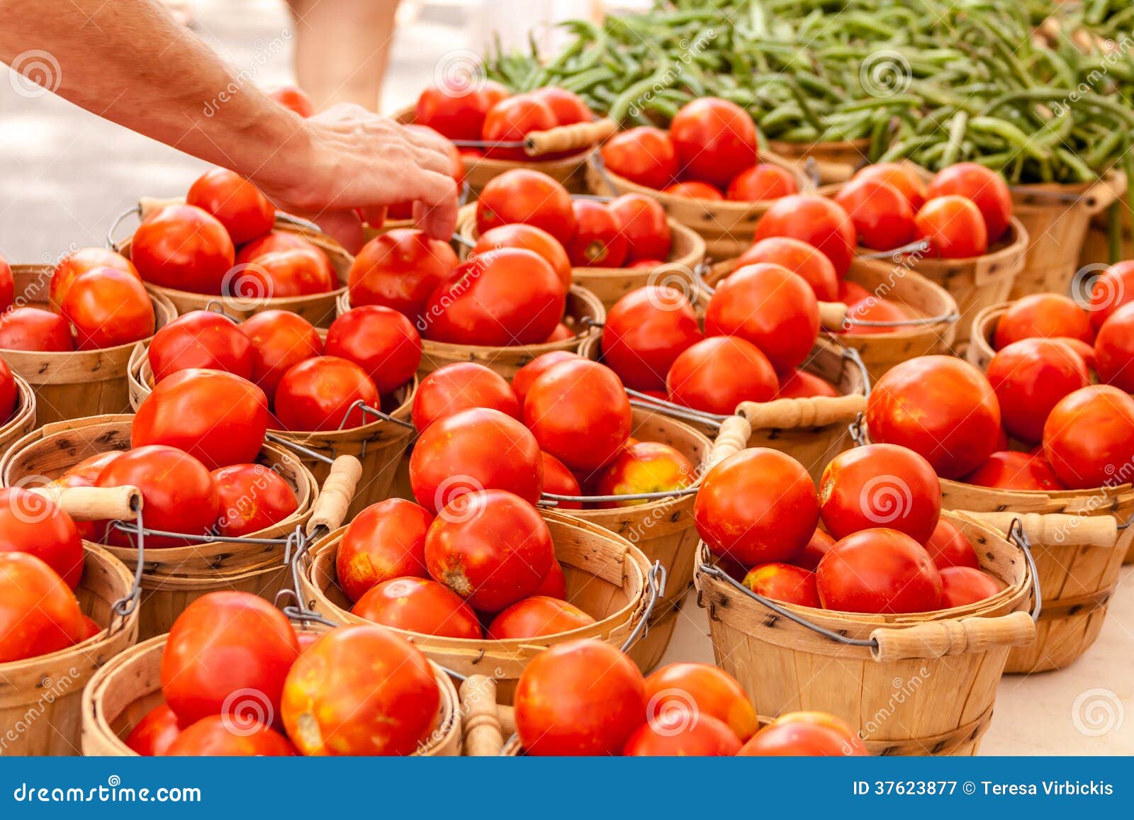 250 Farmers Fight Stock Photos - Free & Royalty-Free Stock Photos from ...
