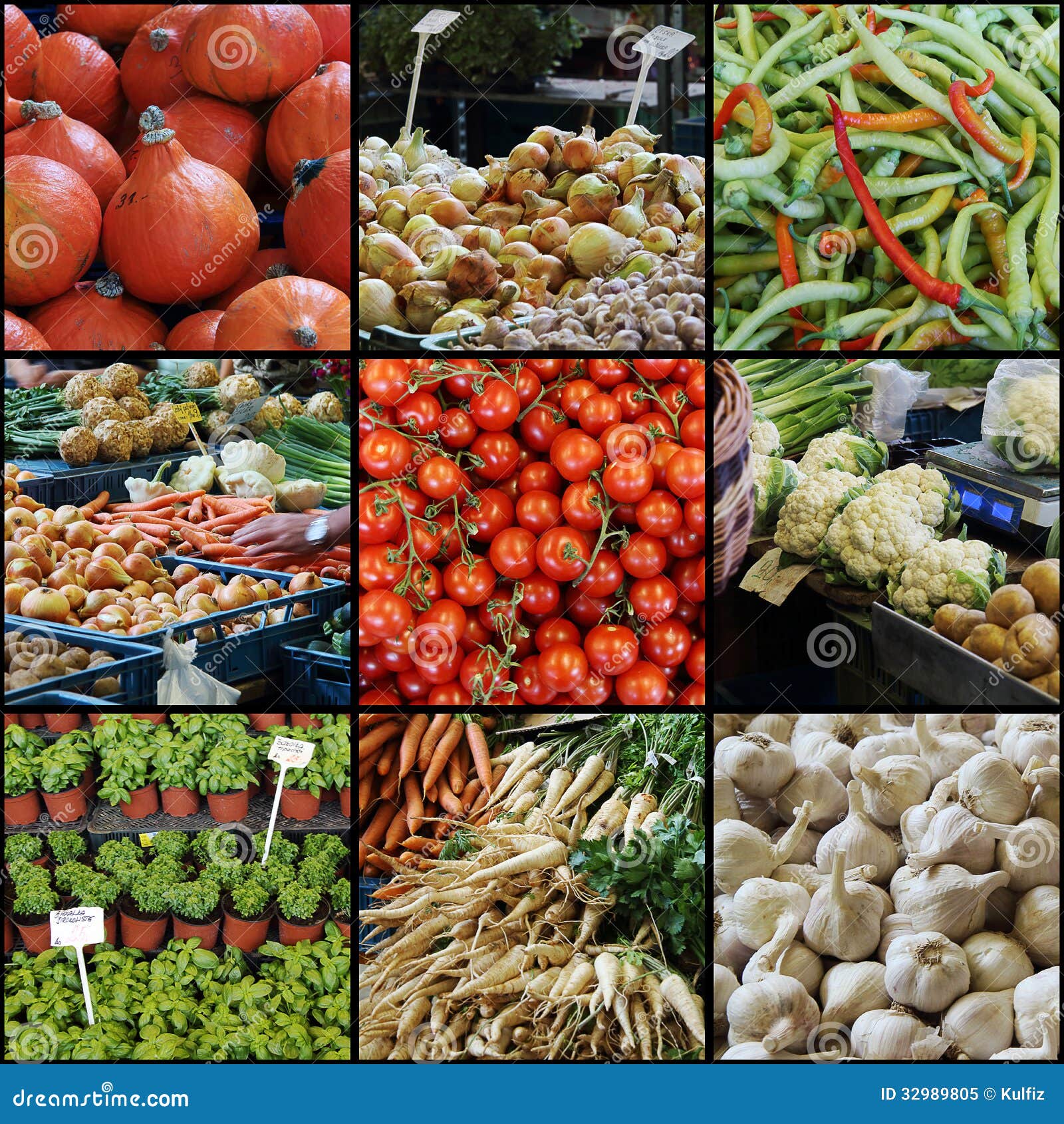 Farmers market collage stock image. Image of field, green - 32989805