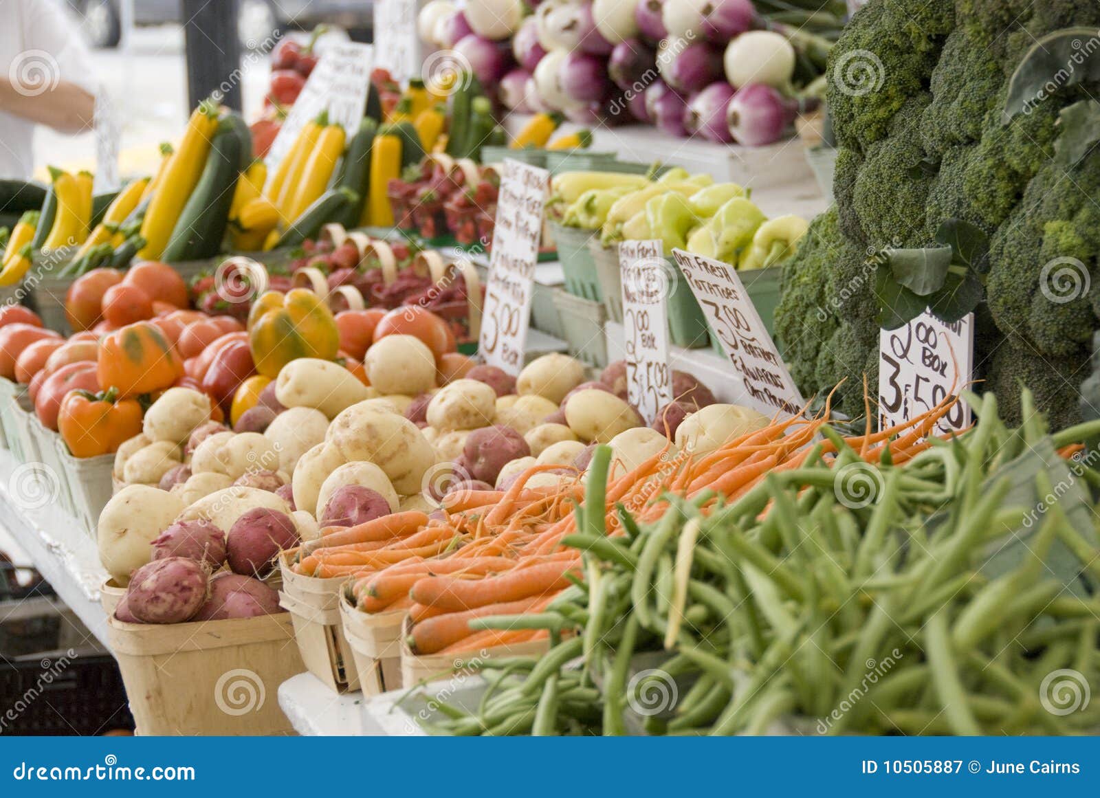 Farmers Market Vegetable Stand Stock Image - Image of store, zucchini ...