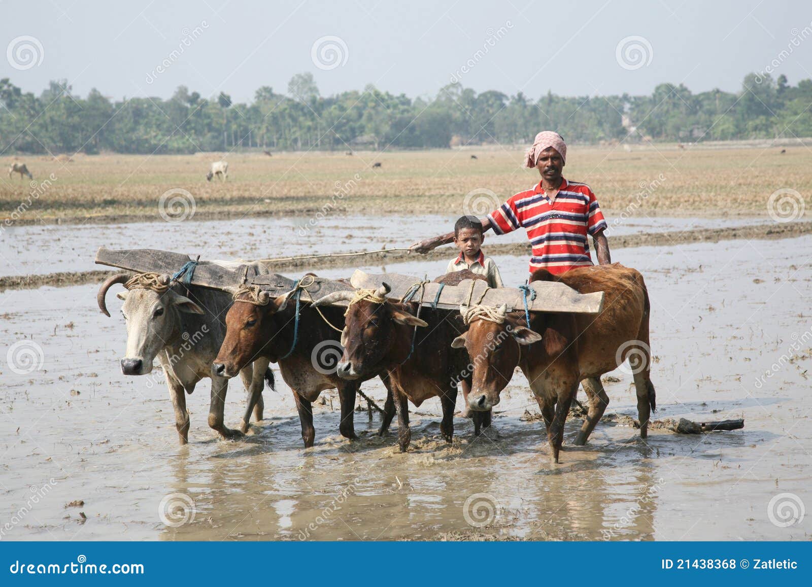 Farmers Plowing Agricultural Field Editorial Stock Photo - Image of ...