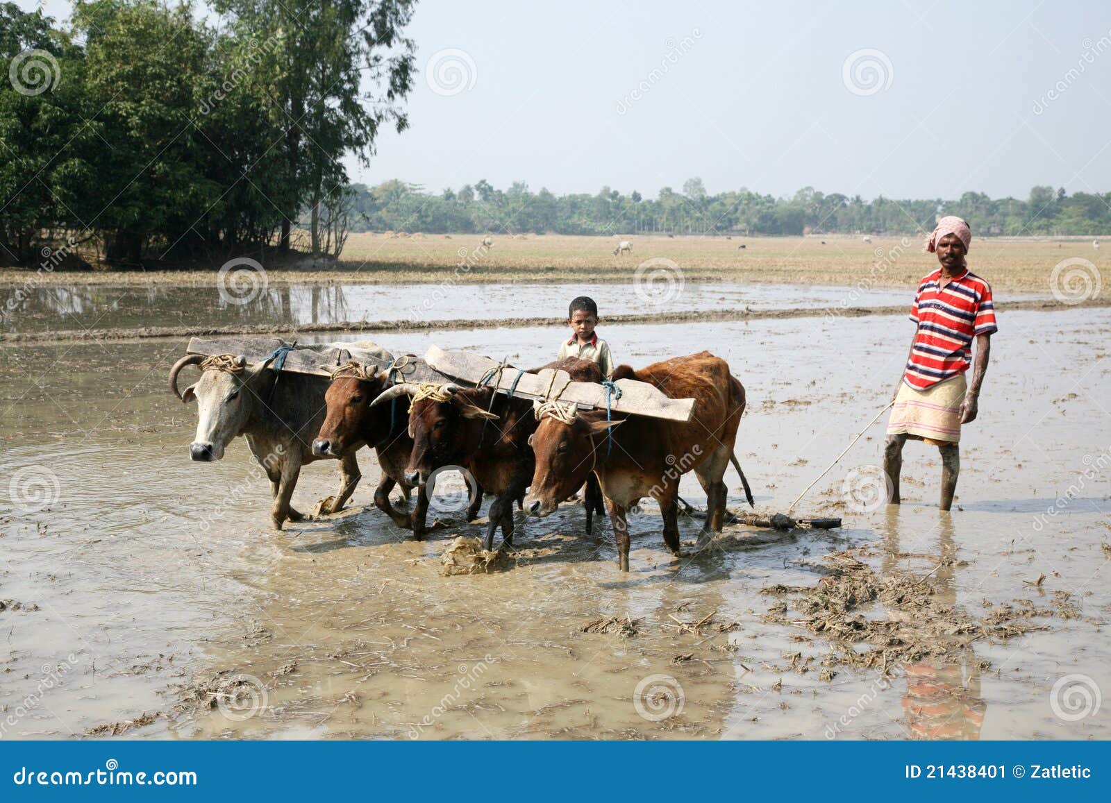 Farmers Plowing Agricultural Field Editorial Photo - Image of landscape ...