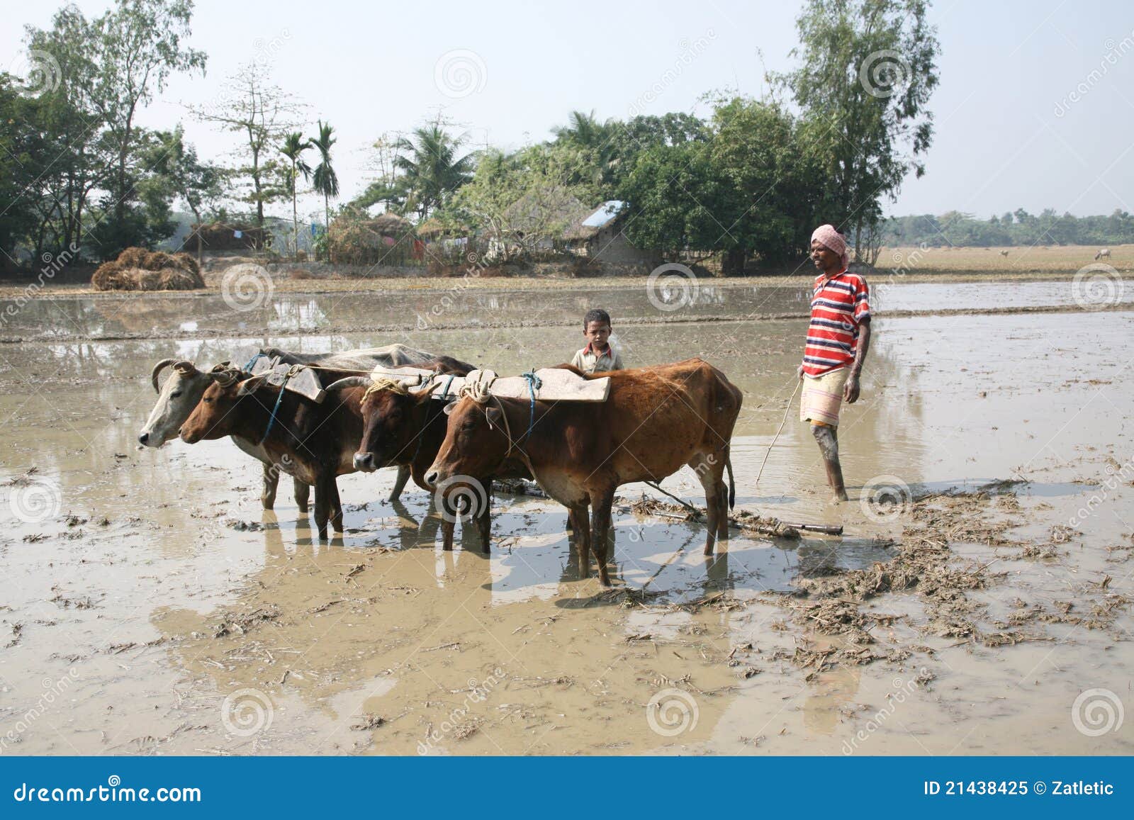 Farmers Plowing Agricultural Field Editorial Image - Image of dress ...
