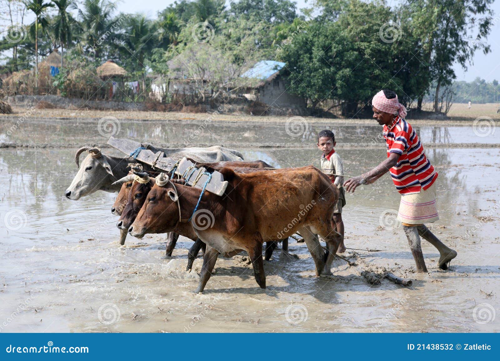 Farmers Plowing Agricultural Field Editorial Photography - Image of ...