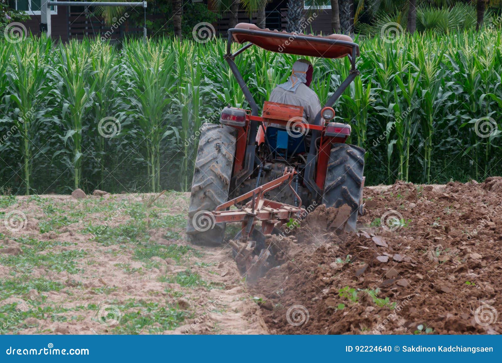 Farmers are Plowing Corn Fields Stock Photo - Image of tired, plow ...