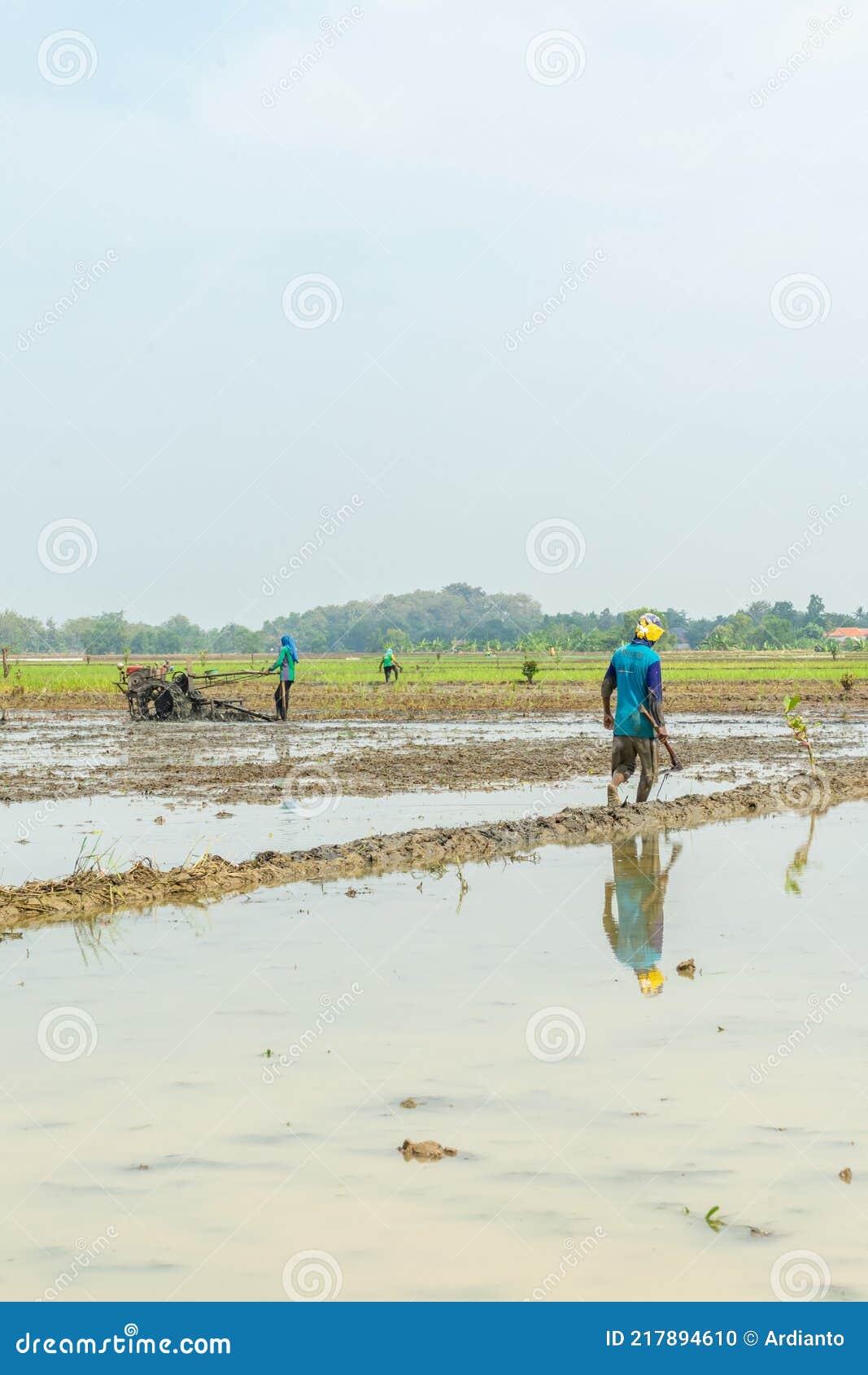 Farmers Plowing the Fields Using Tractors Editorial Image - Image of ...