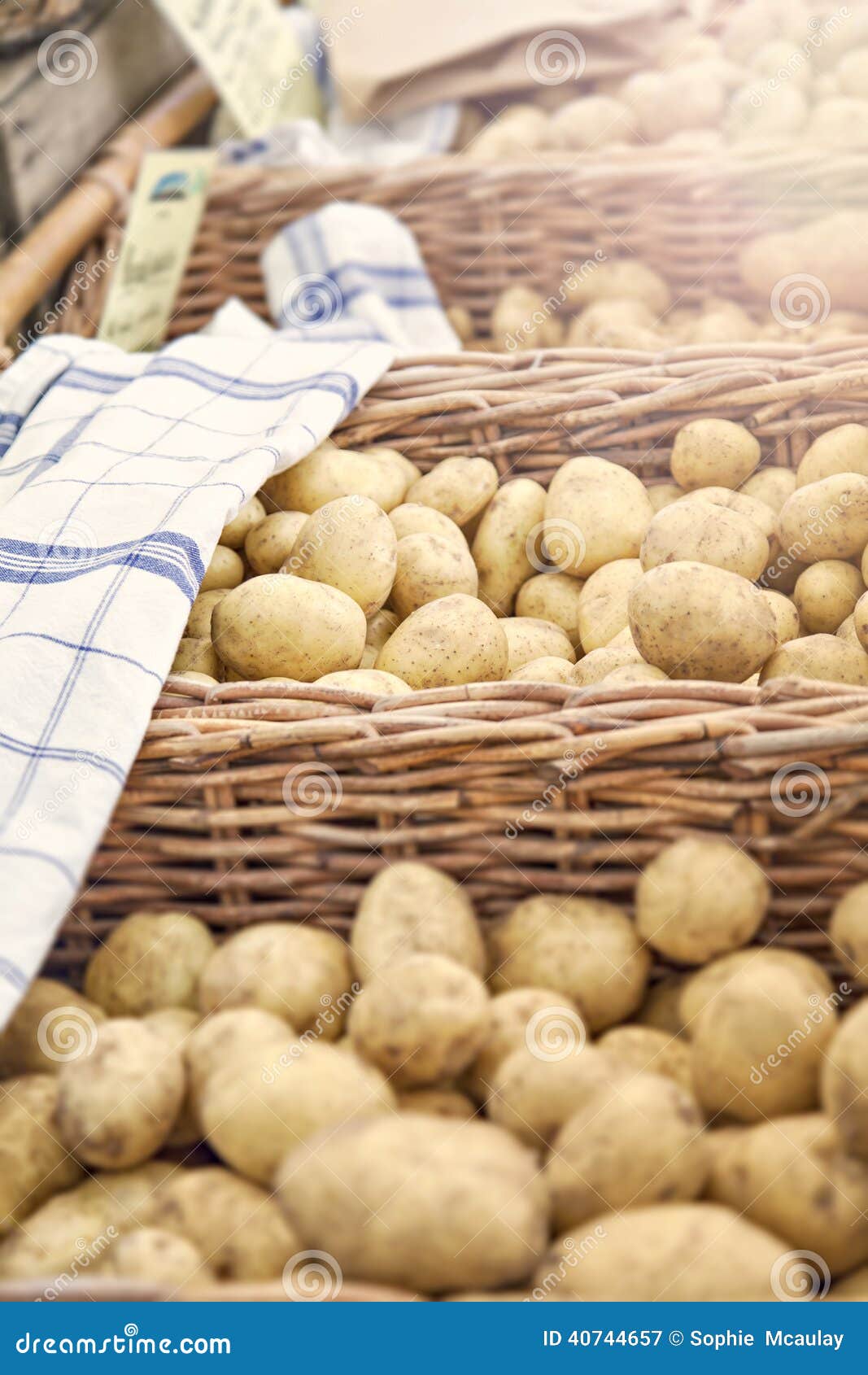 Farmers potatoes stock image. Image of root, ingredients - 40744657