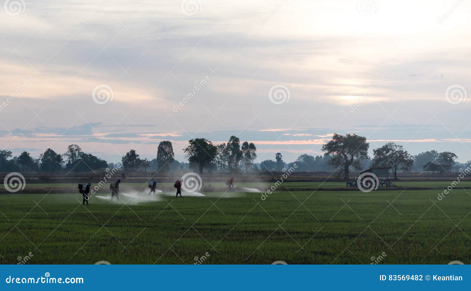 Farmers Spraying Herbicides. Stock Photo - Image of green, chemical ...