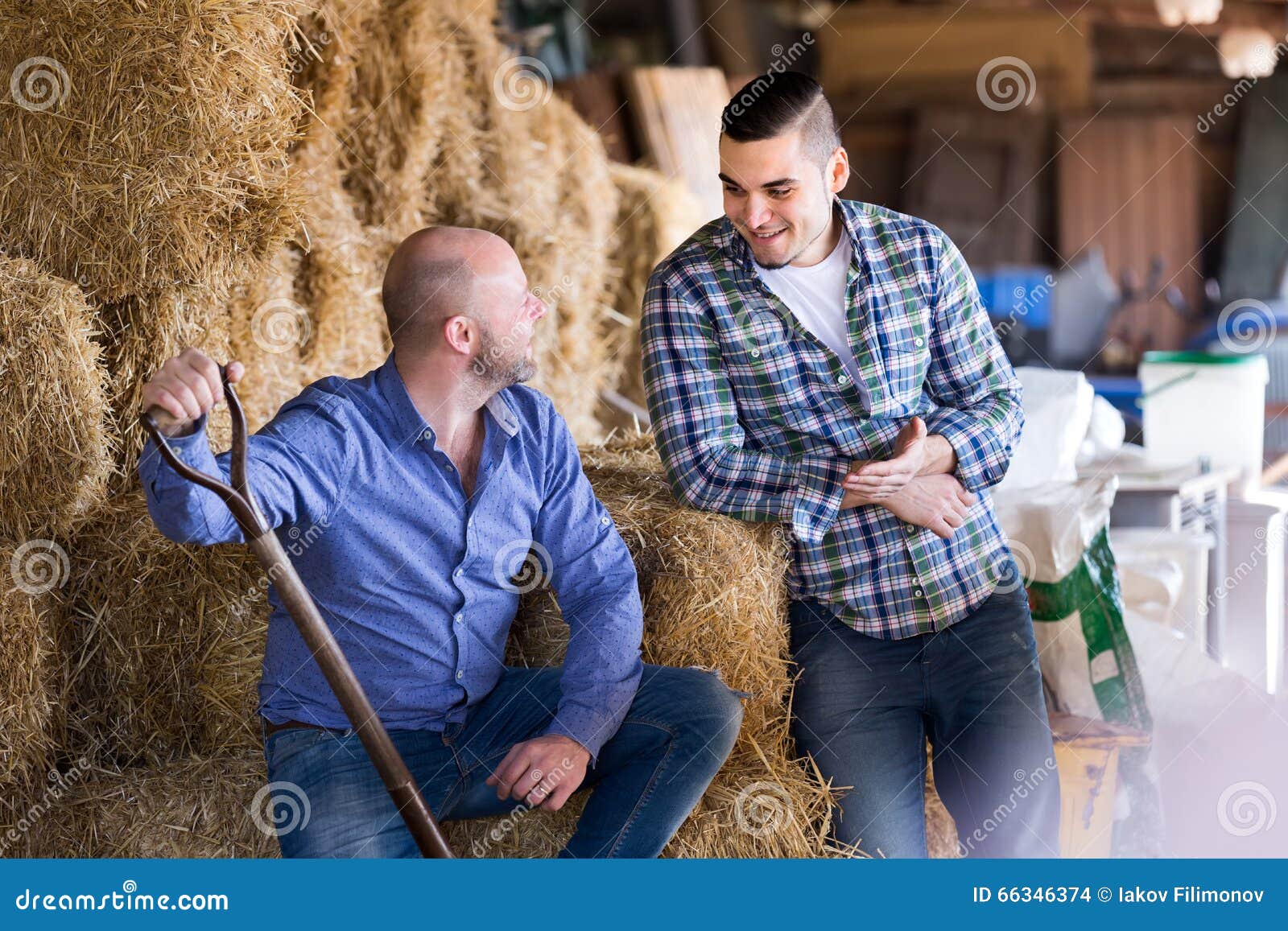 Farmers talking in a barn stock photo. Image of leisure - 66346374