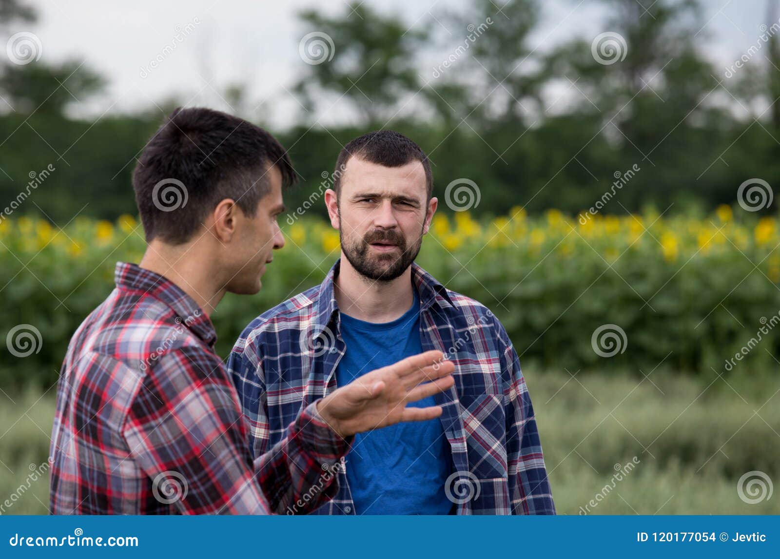 Farmers talking in field stock photo. Image of rural - 120177054