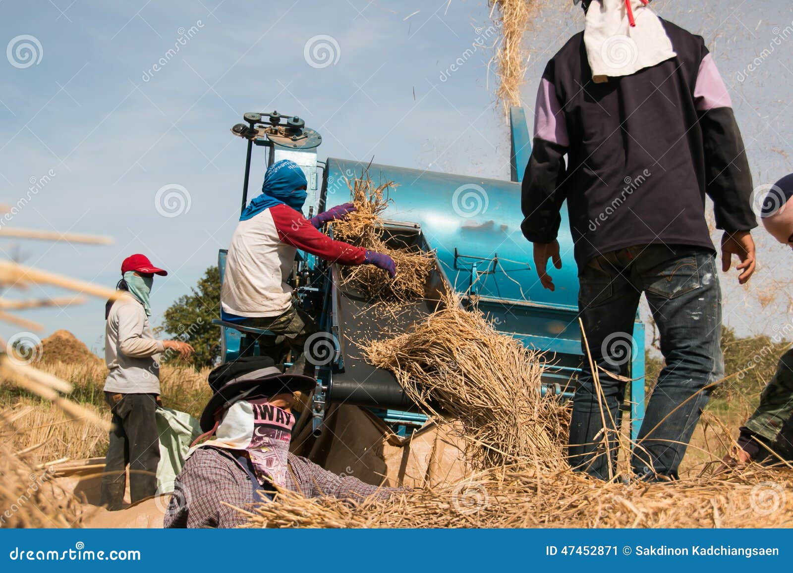 Farmers threshing rice editorial photo. Image of harvester - 47452871