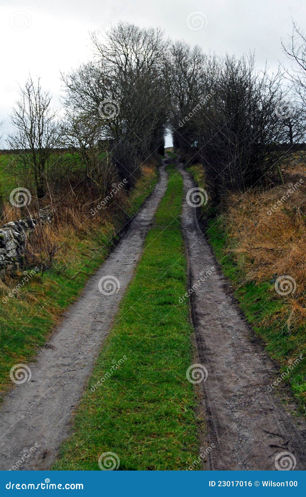 Farmers Tracks Across Countryside Stock Photo - Image of fields, stone ...