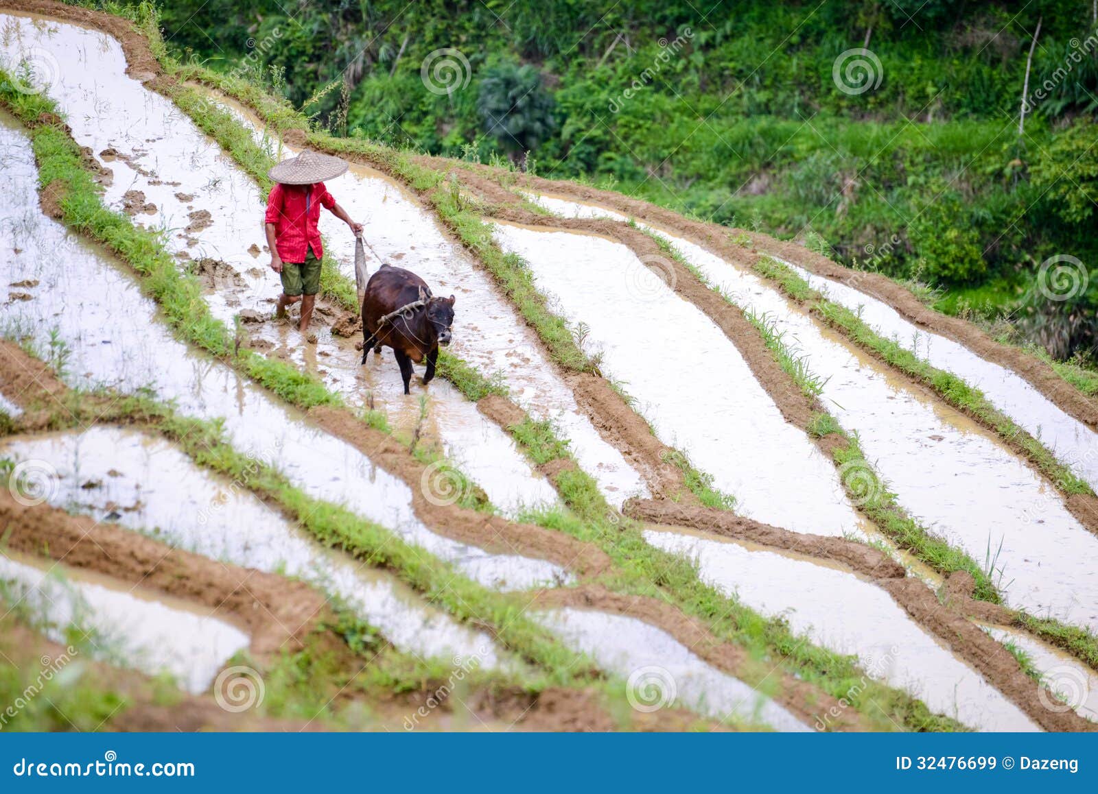 Of farmers stock image. Image of labor, plantations, water - 32476699