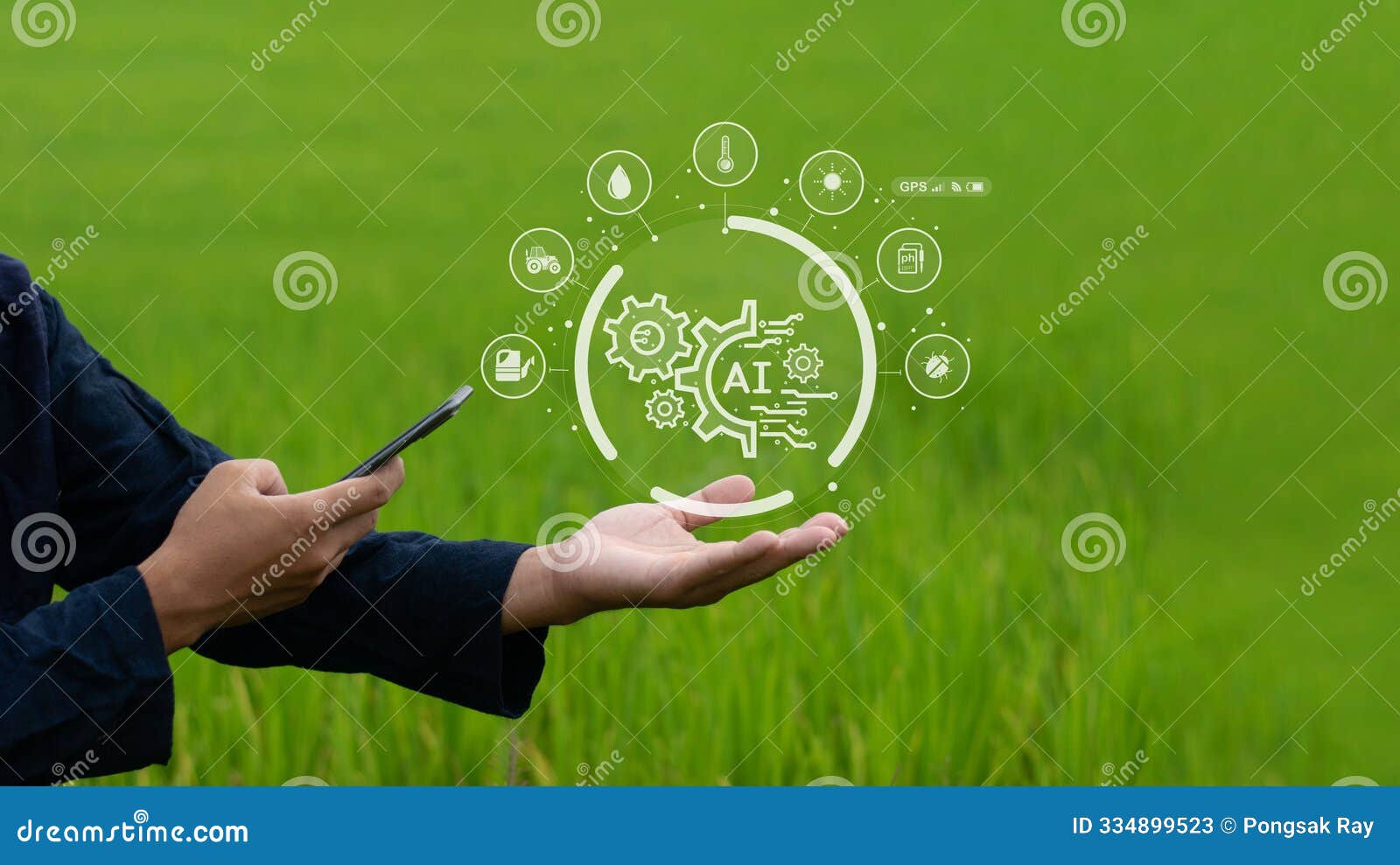 Farmers Use AI Technology Check Production in Rice Fields Stock ...