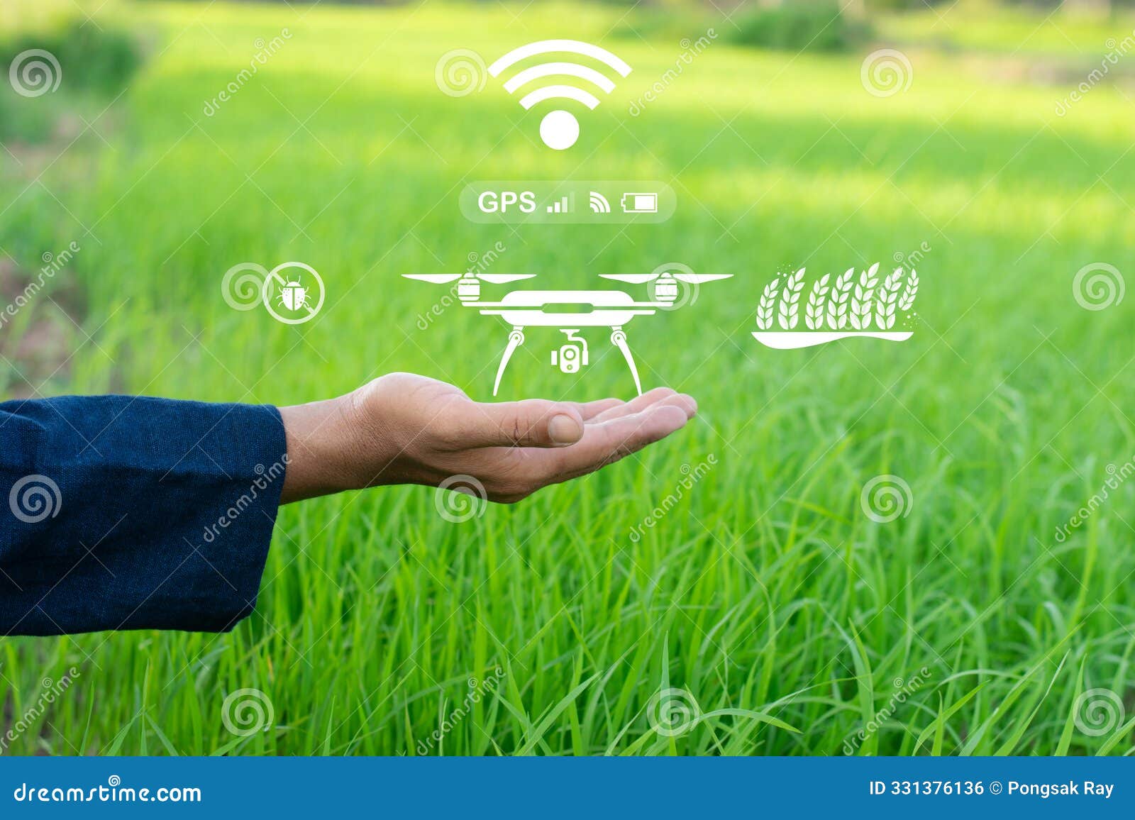 Farmers Use Drones in Rice Fields Using Modern Farming Technology Stock ...