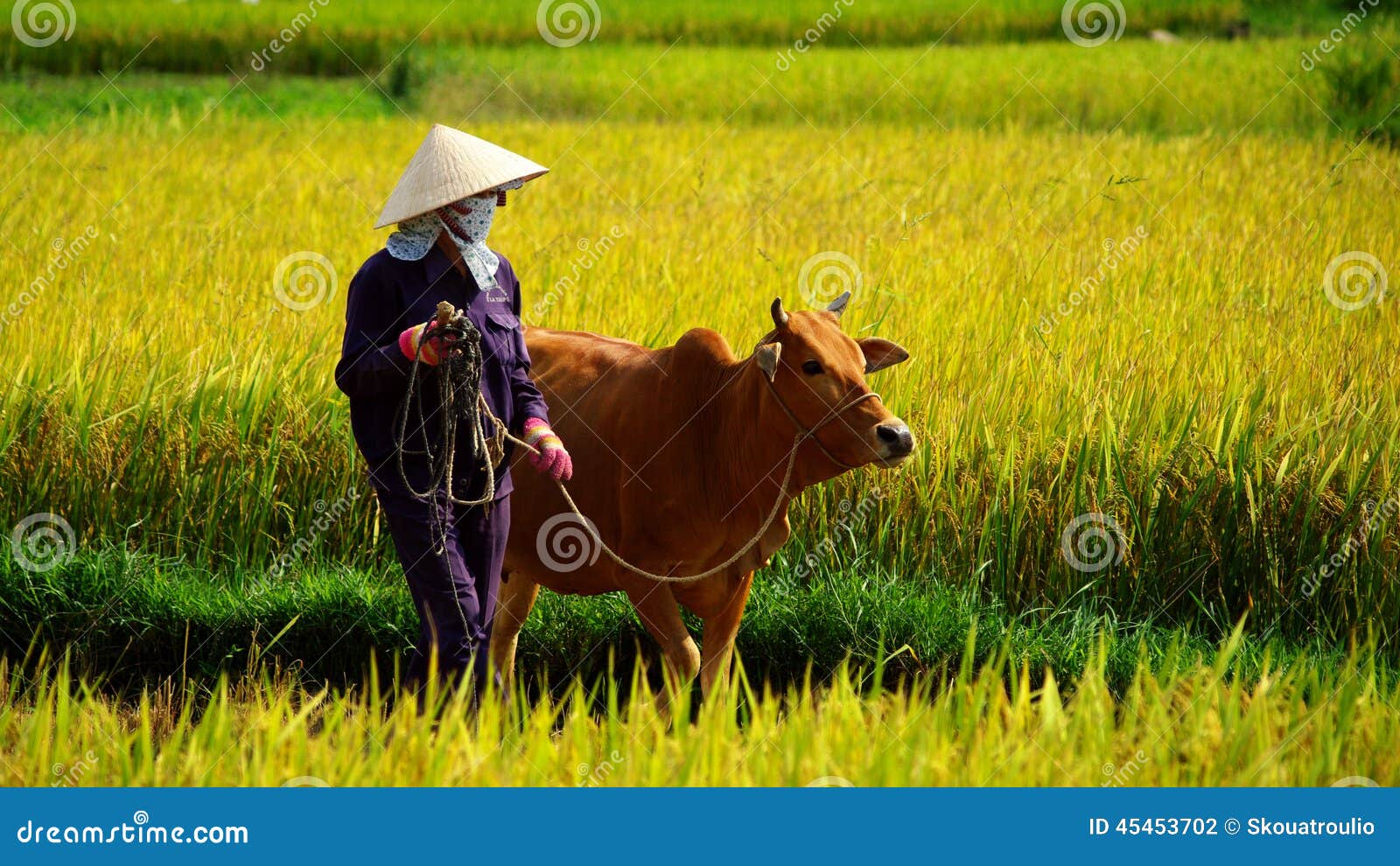 Farmers at work stock photo. Image of agriculture, worker - 45453702