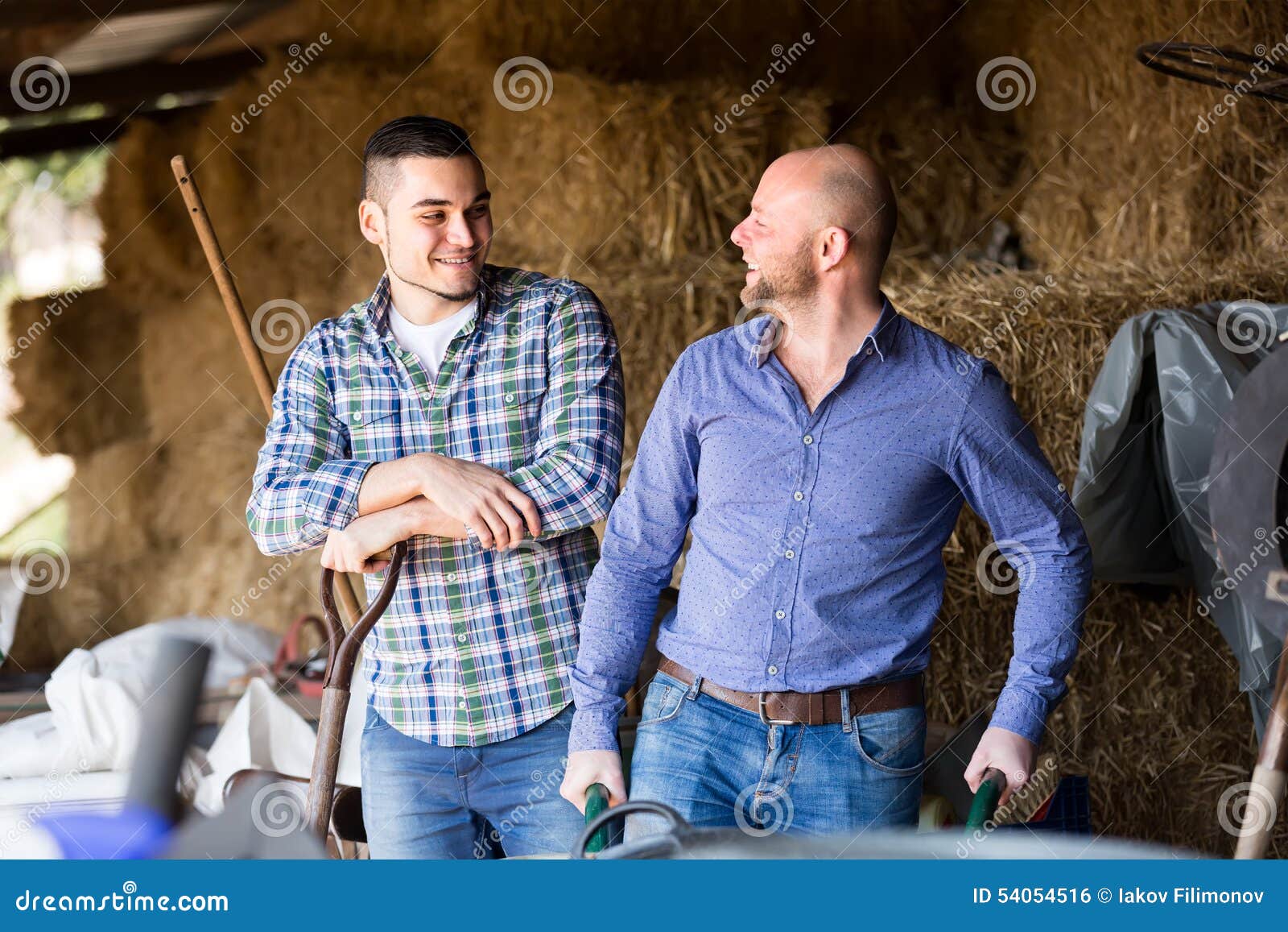 Farmers working in a barn stock photo. Image of european - 54054516