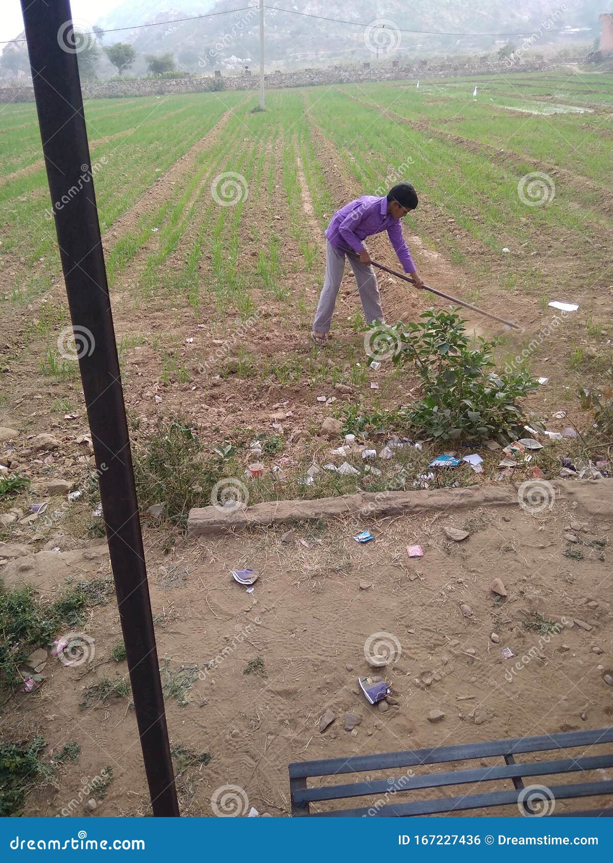 Farmers Working in Field in India Editorial Photo - Image of beautiful ...