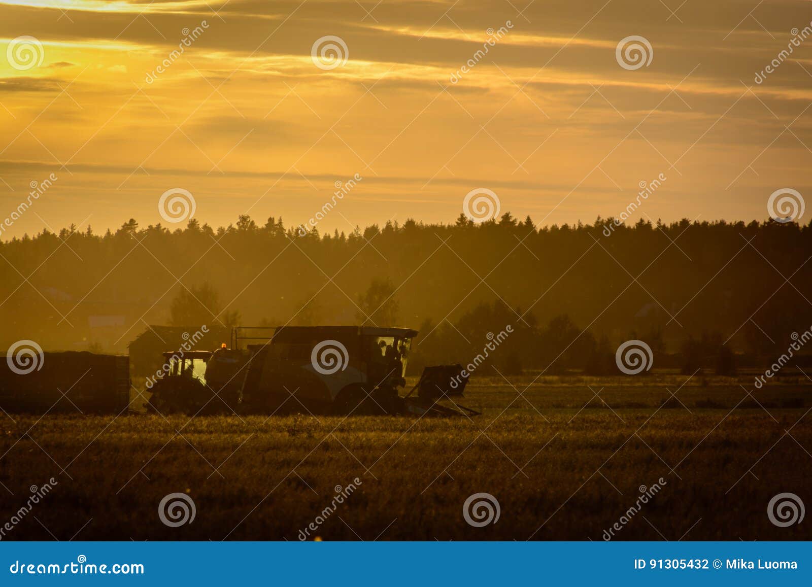Farmers Working on a Sunset Stock Photo - Image of country, work: 91305432