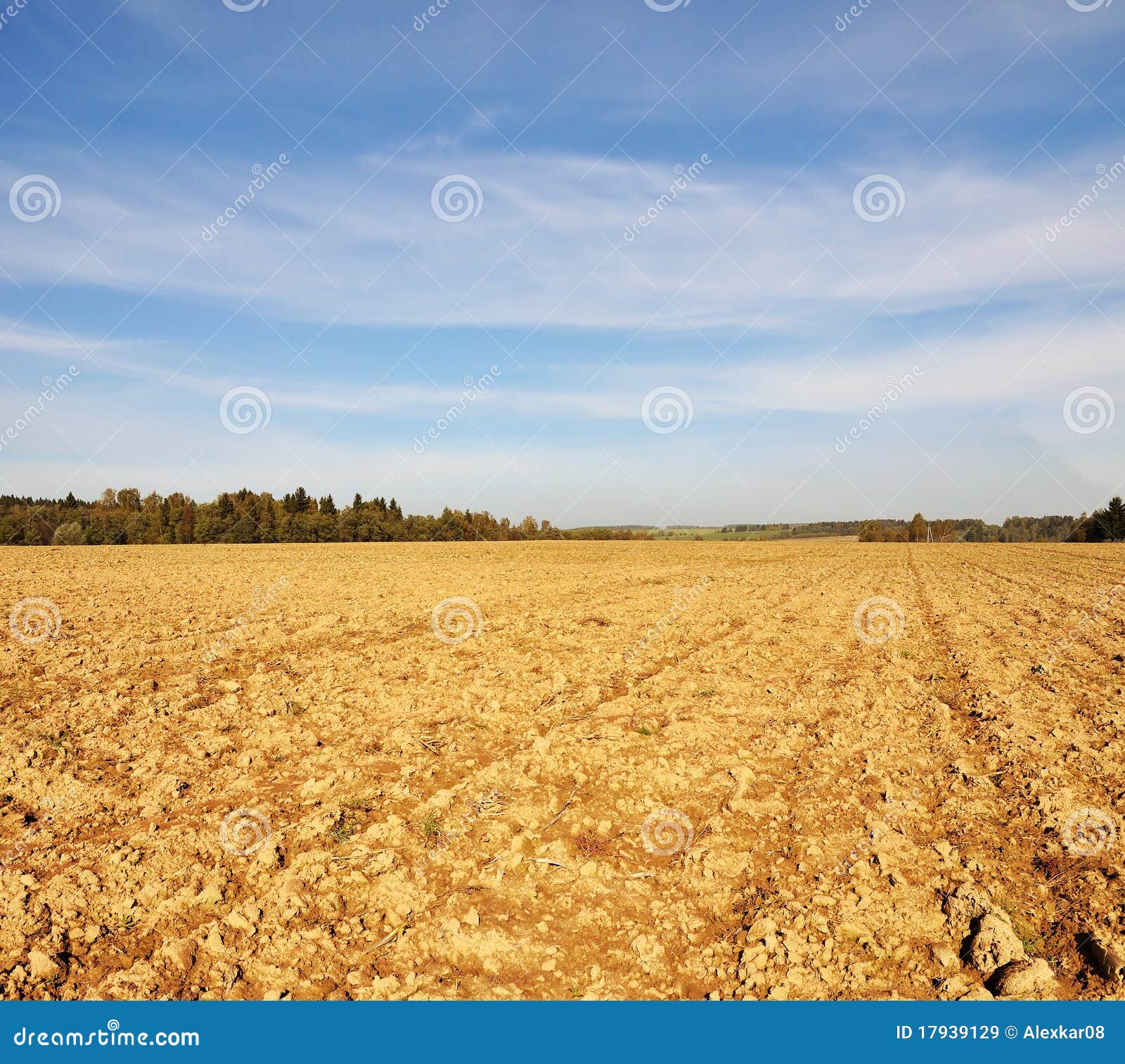 Farmfield in autumn stock image. Image of sunny, wood - 17939129