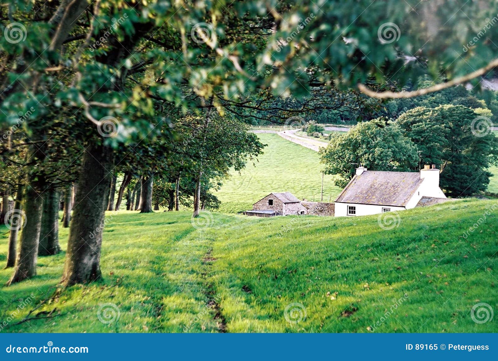 Farmhouse stock image. Image of grass, field, tracks, cottage - 89165