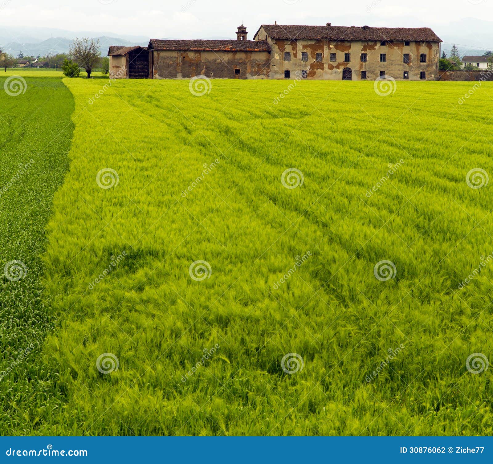 Farmhouse in the Green Field Stock Photo - Image of farm, nature: 30876062