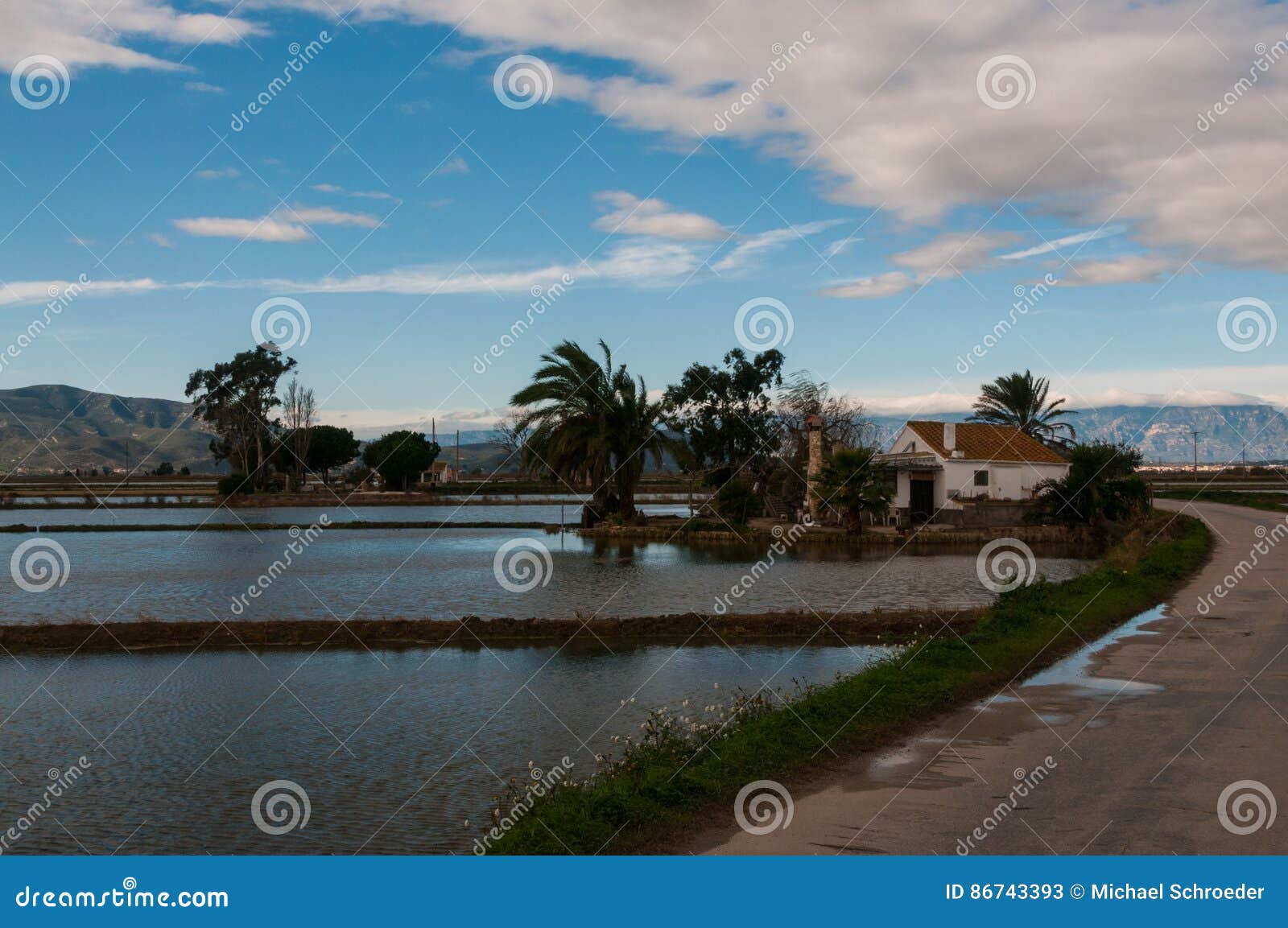 Farmhouse with Rice Fields in the Ebro Delta Stock Image - Image of ...