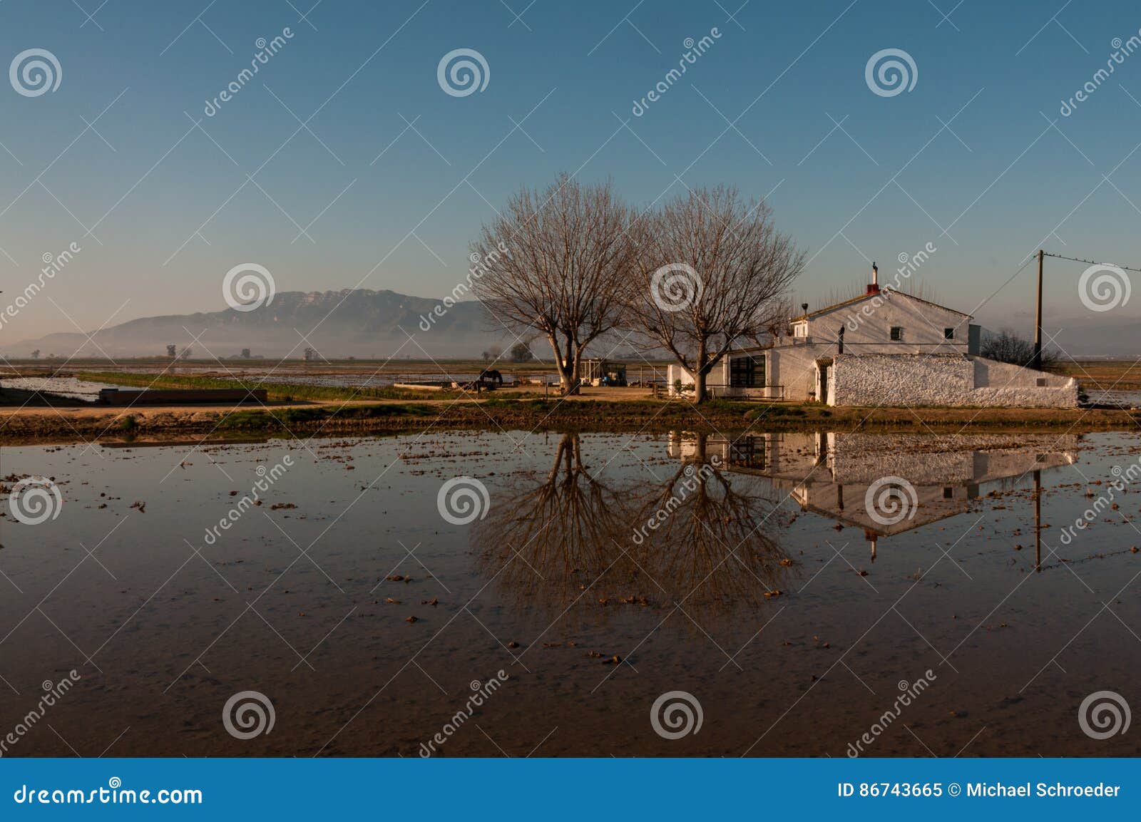 Farmhouse with Rice Fields in the Ebro Delta Stock Image - Image of ...