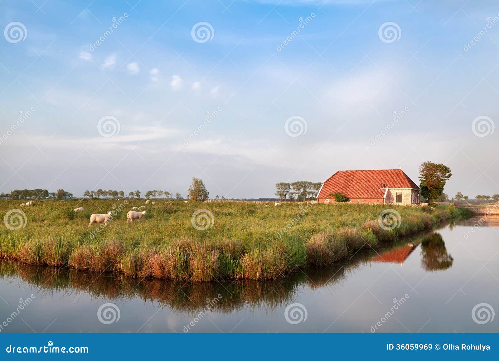 Farmhouse and Sheep on Pasture by River Stock Image - Image of grazing ...