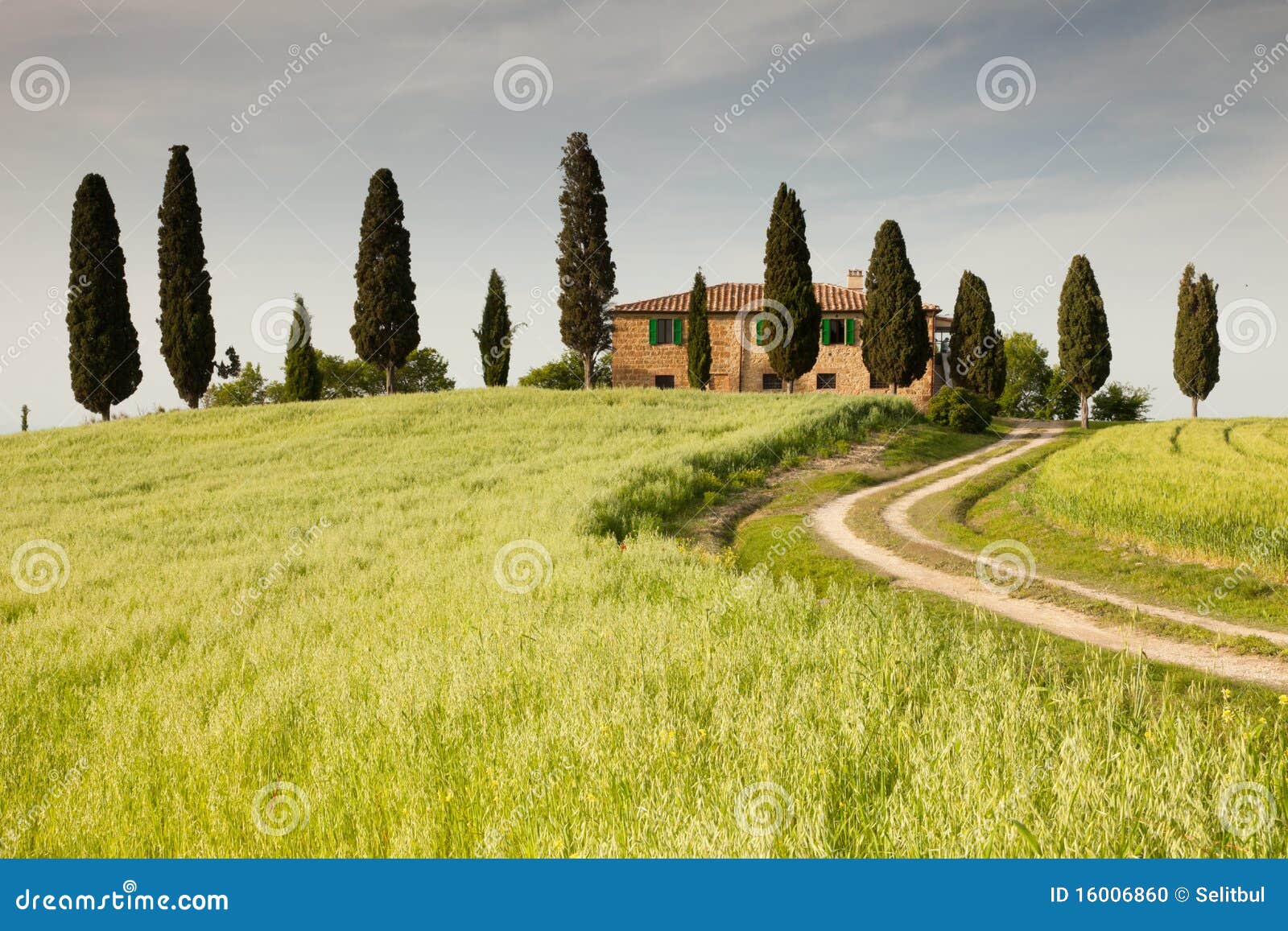 Farmhouse in Tuscany stock photo. Image of idyllic, morning - 16006860
