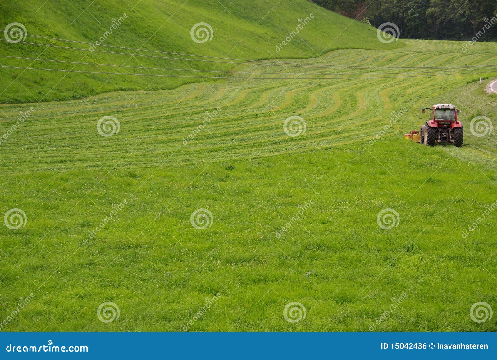 Farming stock photo. Image of farm, agriculture, mowing - 15042436