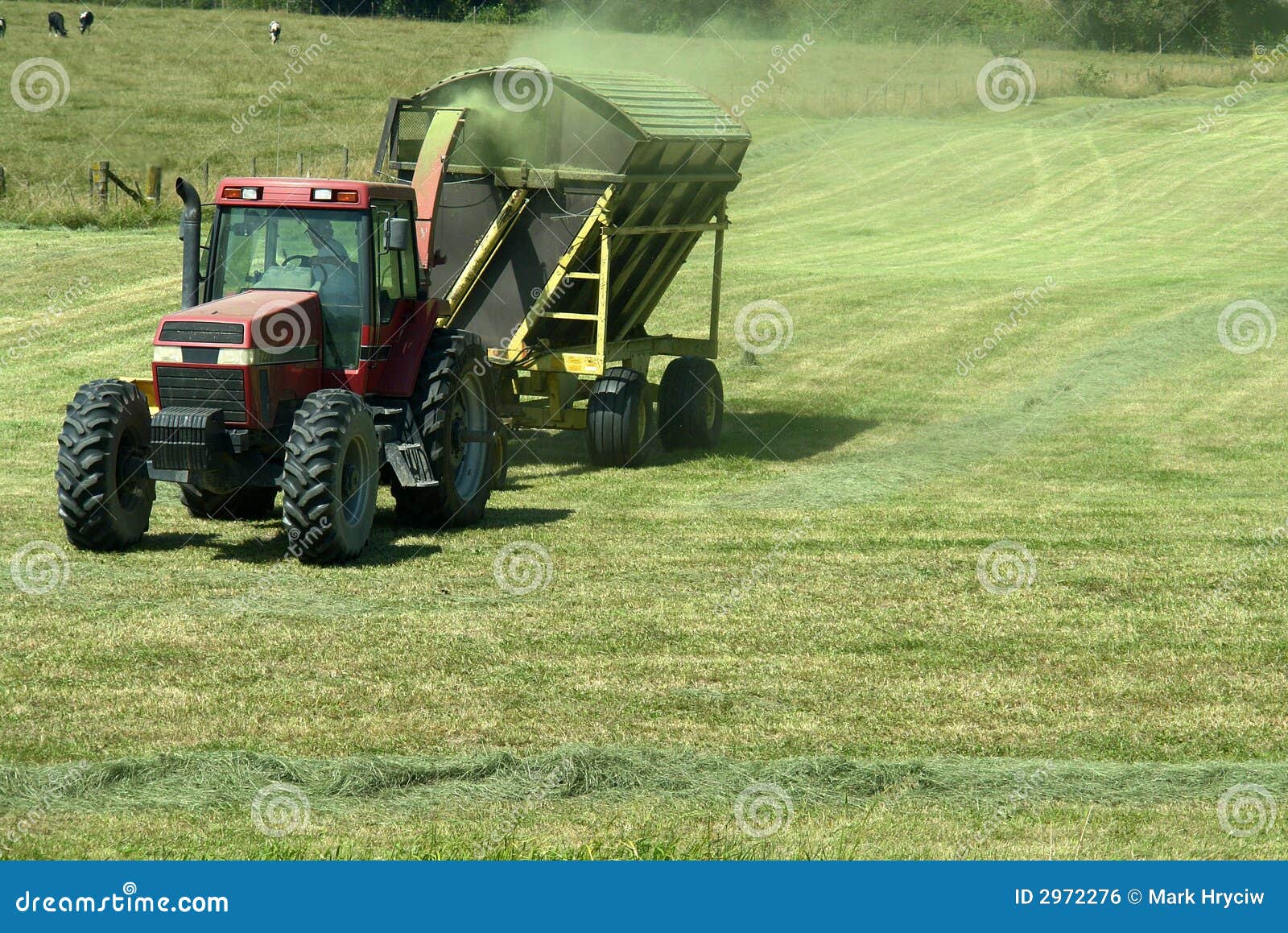 Farming stock photo. Image of agricultural, feed, farm - 2972276