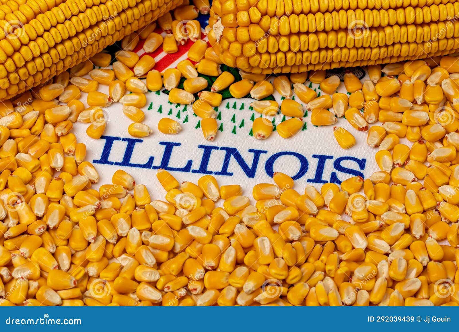 Flag of Illinois Covered in Corn Kernels. Stock Image - Image of ...