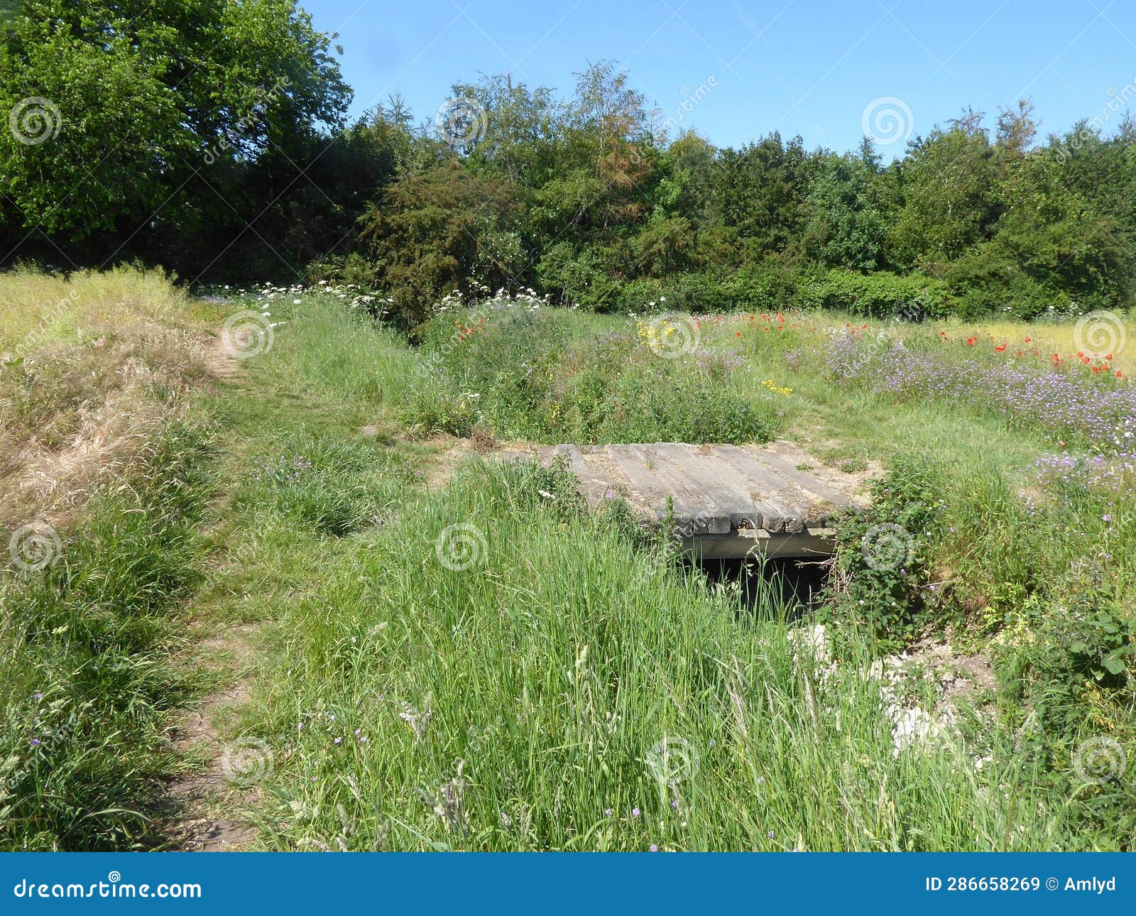 Basic but Useful Bridge Over Ditch Stock Image - Image of neglected ...