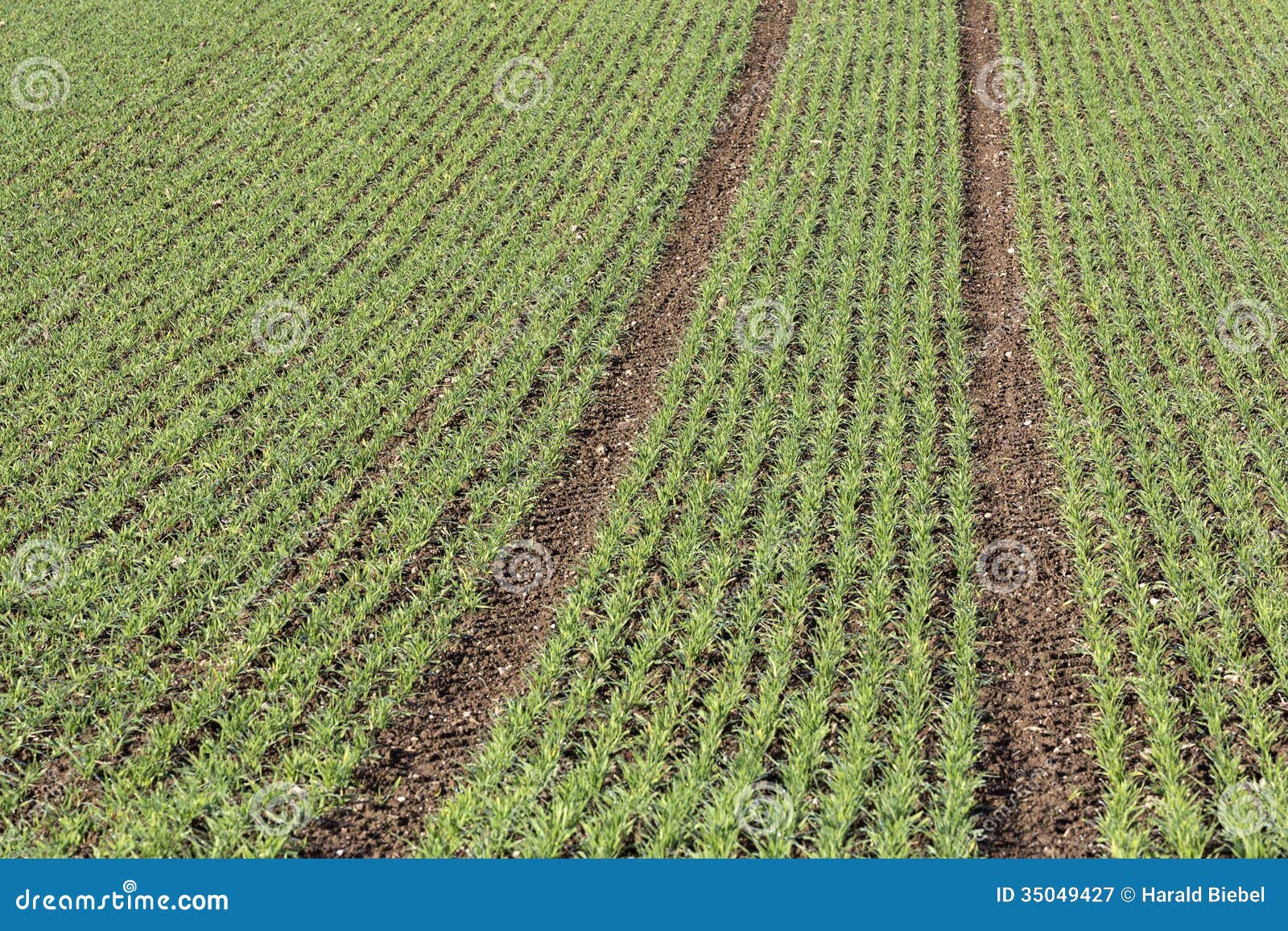 Farming in Bavaria, Germany Stock Image - Image of germany, agriculture ...