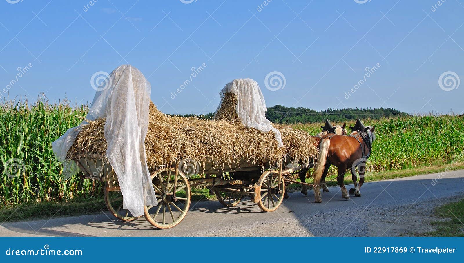 Farming in Chiemgau,Bavaria,Germany Stock Image - Image of bavaria ...