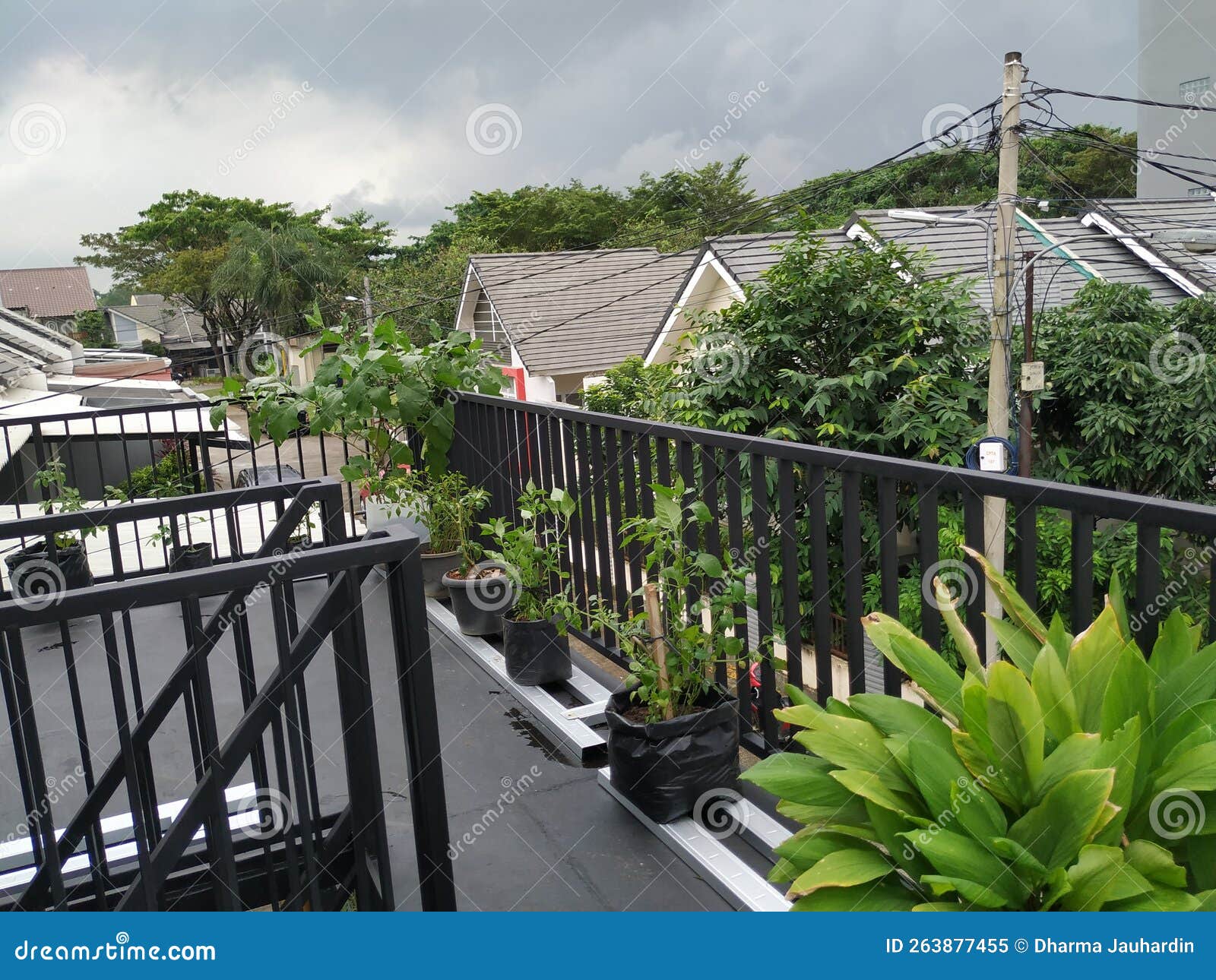 Farming on the Deck of the House. Small House Can Still Have a Garden ...