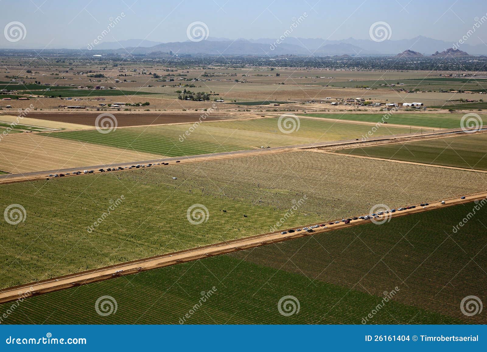 Farming the Desert stock photo. Image of mountains, arizona - 26161404