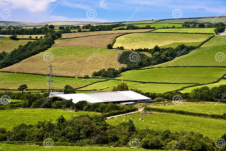 Farming in Devon stock image. Image of fields, england - 7805485
