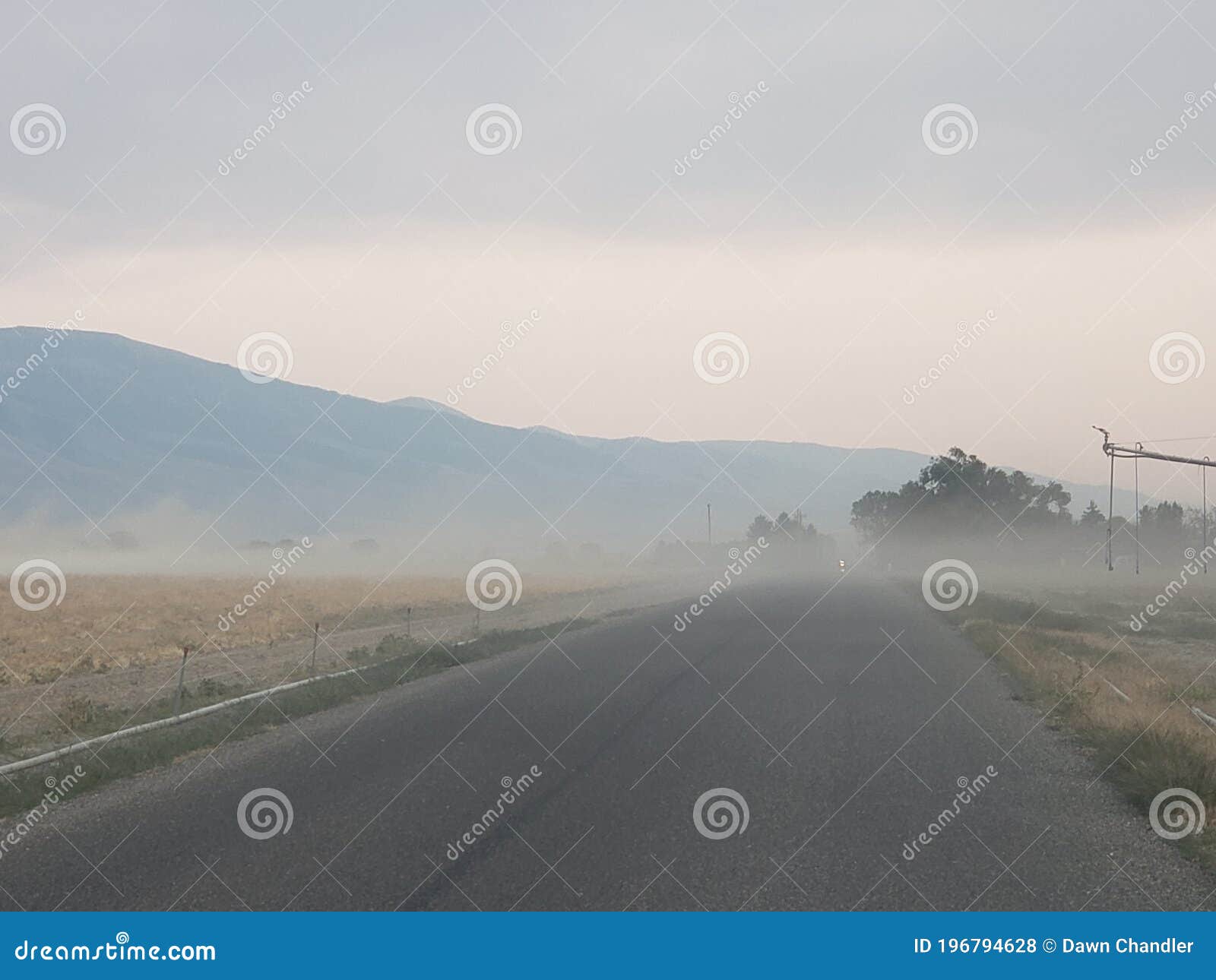 Farming dust across road stock photo. Image of lane - 196794628